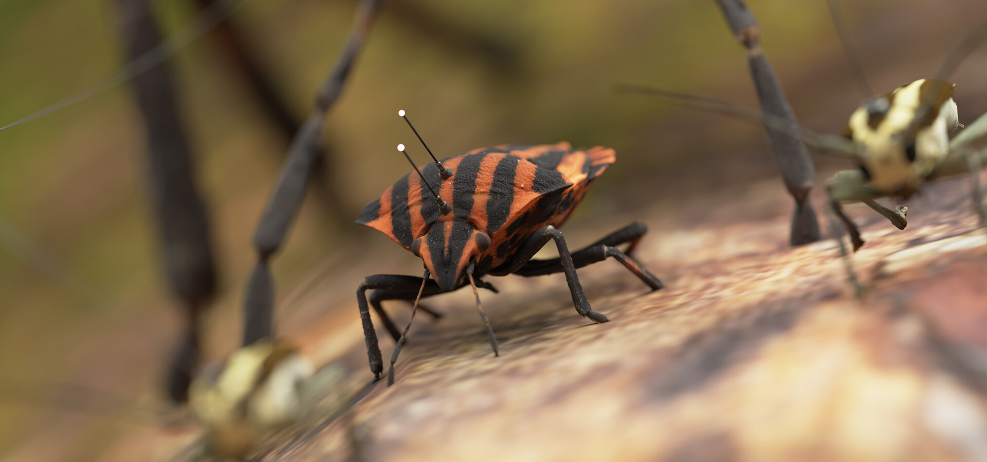 ArtStation - Bug - Mecha