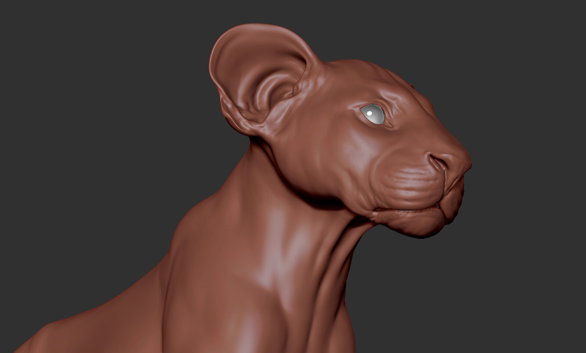 ArtStation - Lion Cub