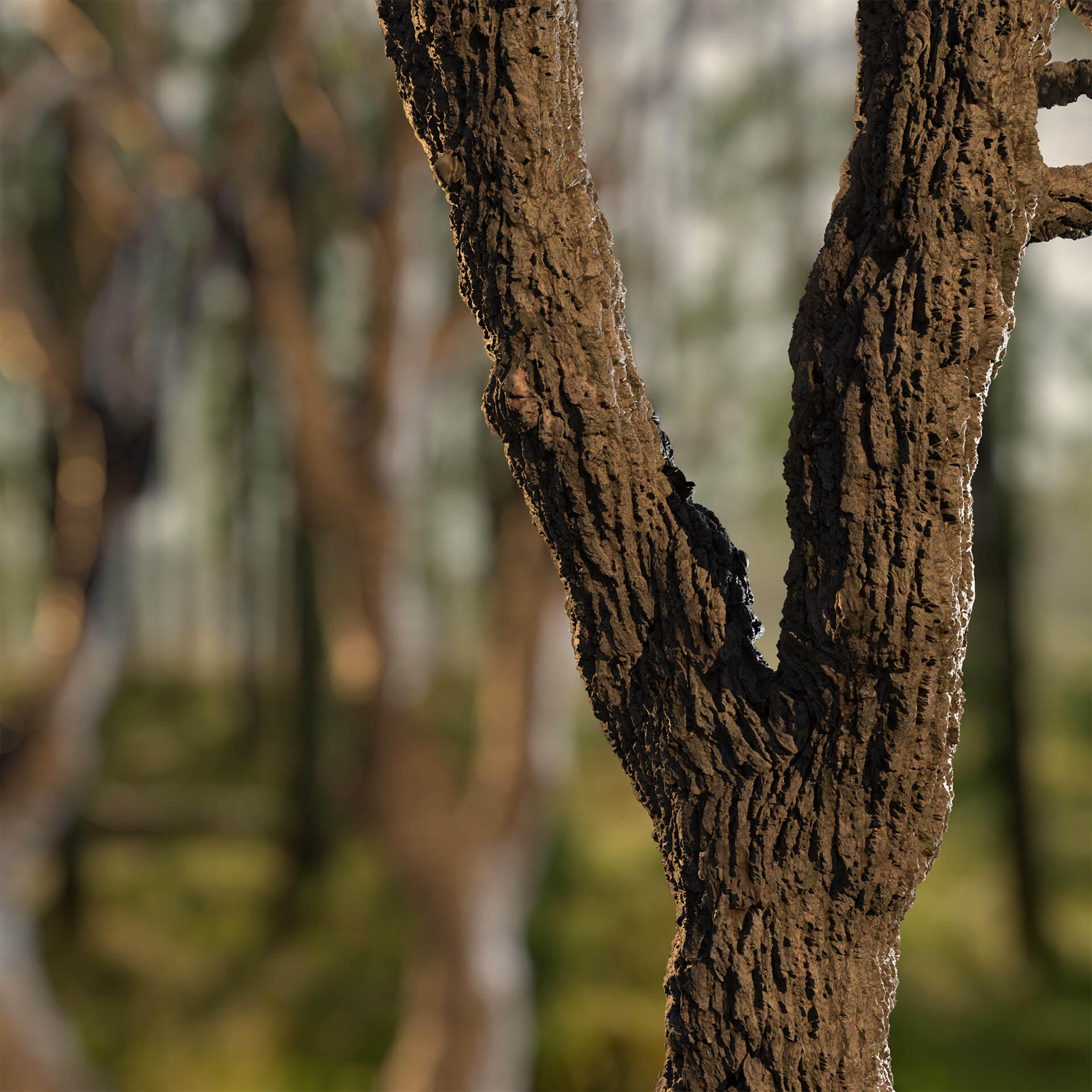 ArtStation - Bark Materials