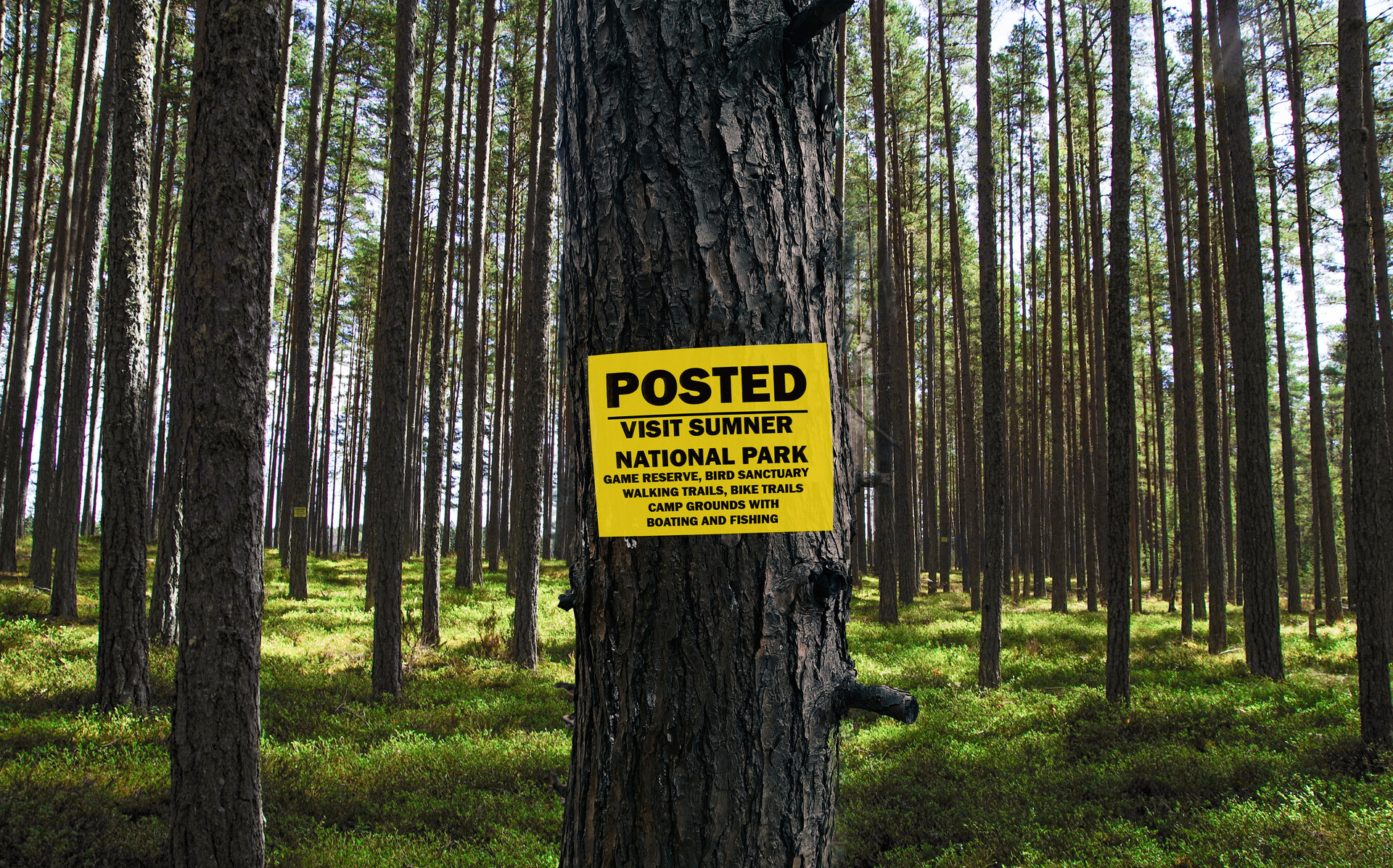 ArtStation - Sumner National Park, a great place...