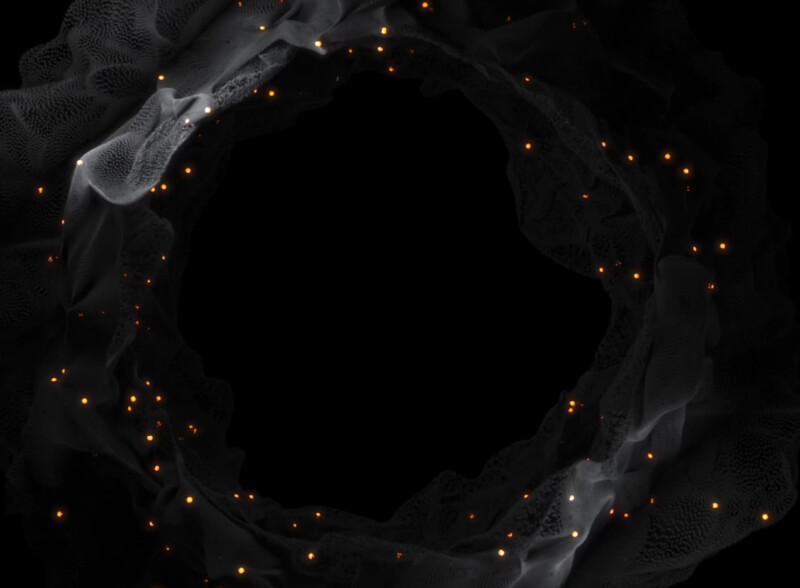 ArtStation - Hannah Engel