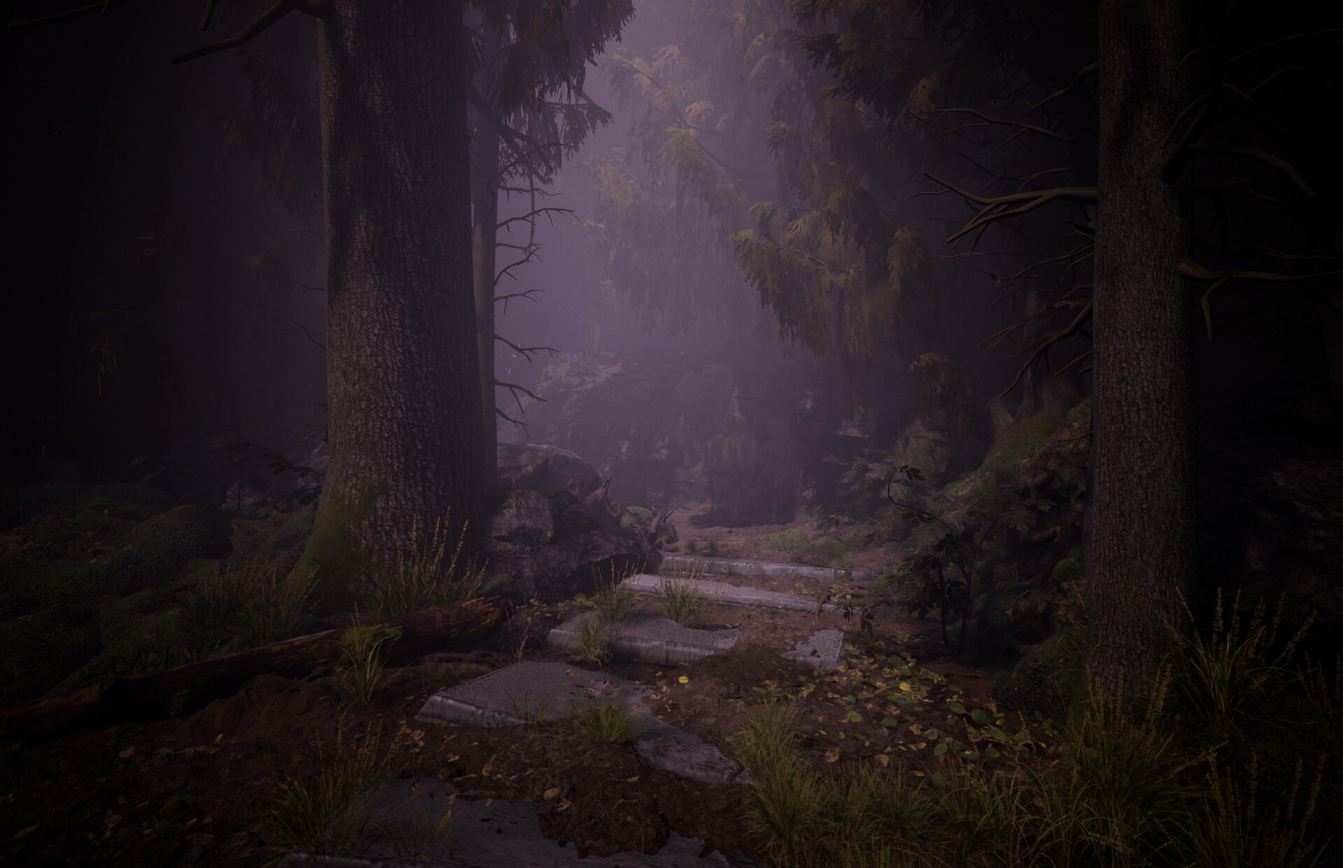 ArtStation - Ominous Forest Path