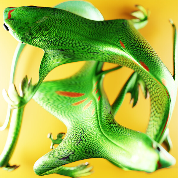 ArtStation - Rubber Gecko