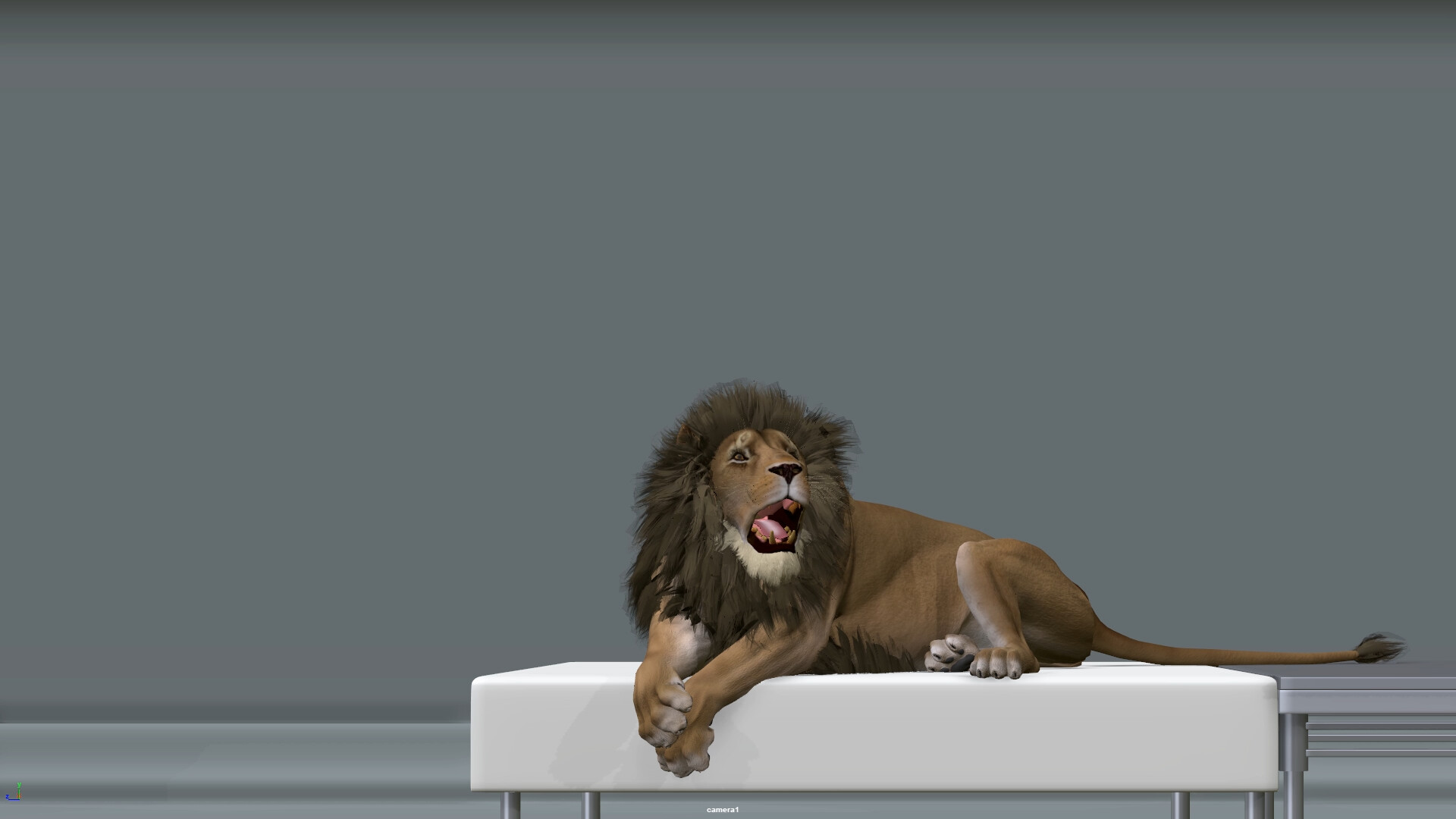 ArtStation - Lion 3d Animation
