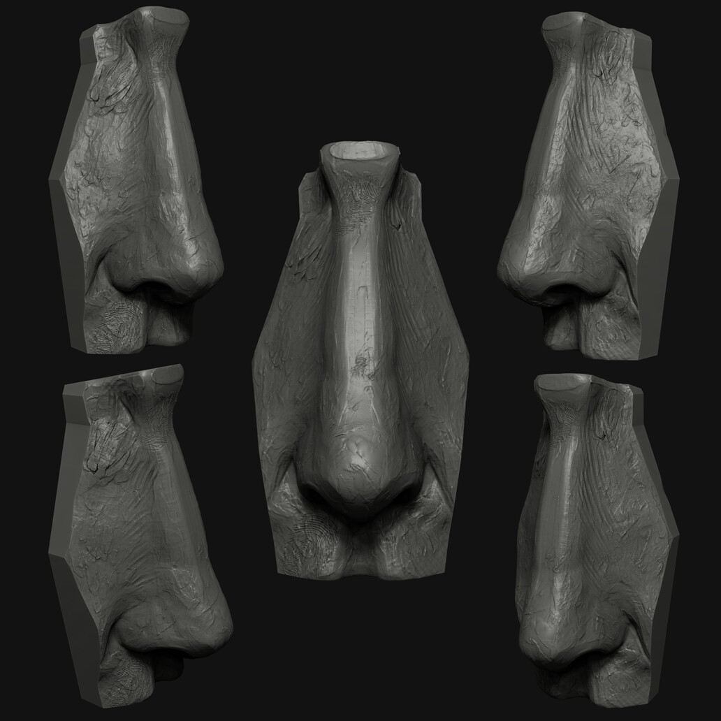 ArtStation - Nose Studies