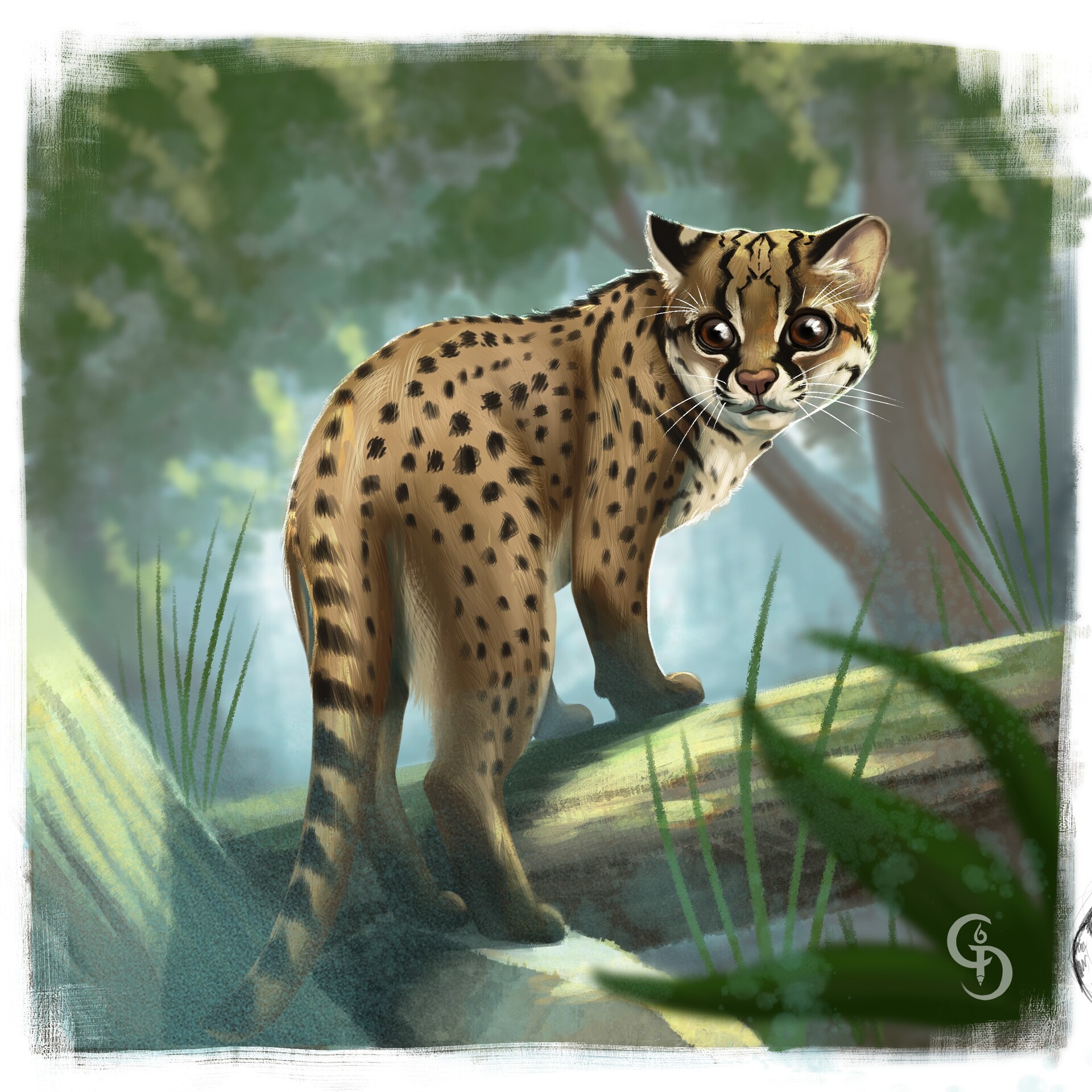 Gladys Domalaon - Native Fauna Studies