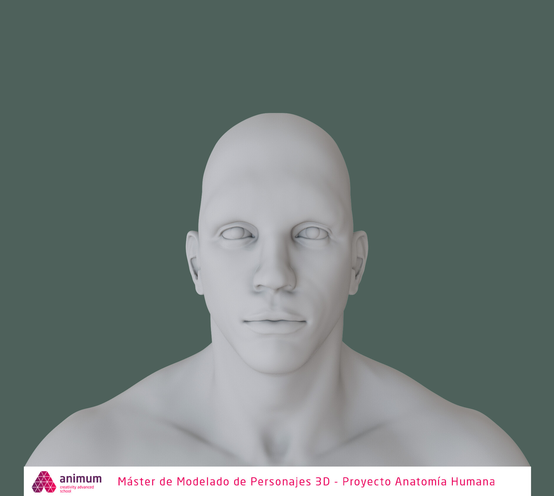 ArtStation - Modelado Anatomia