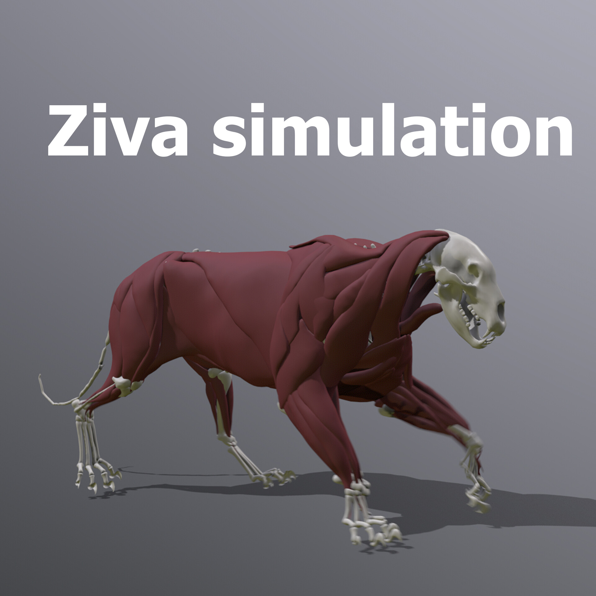 ArtStation - realistic tiger setup