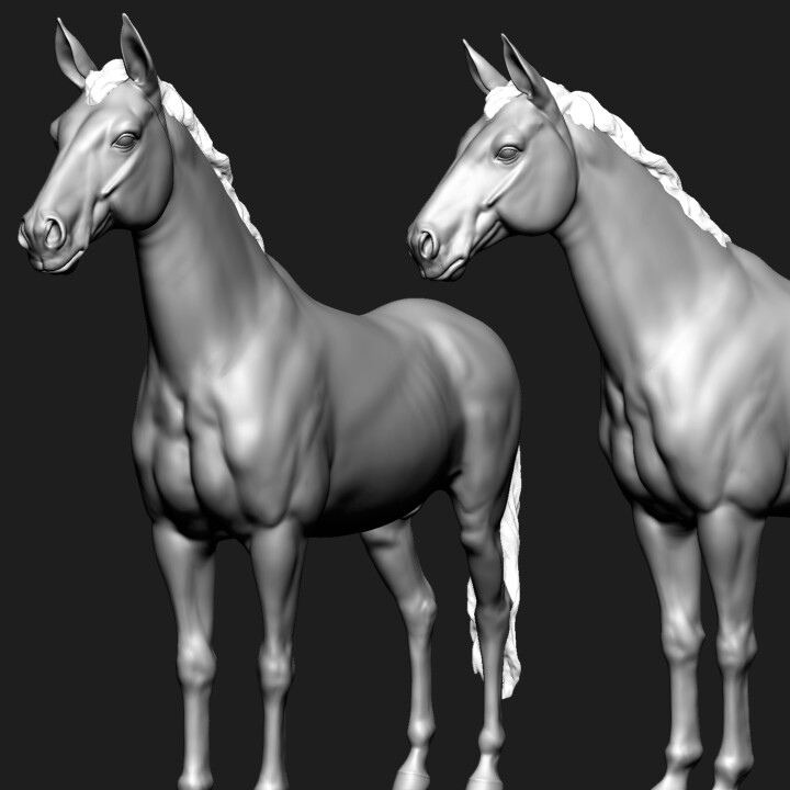 ArtStation - horse basemesh