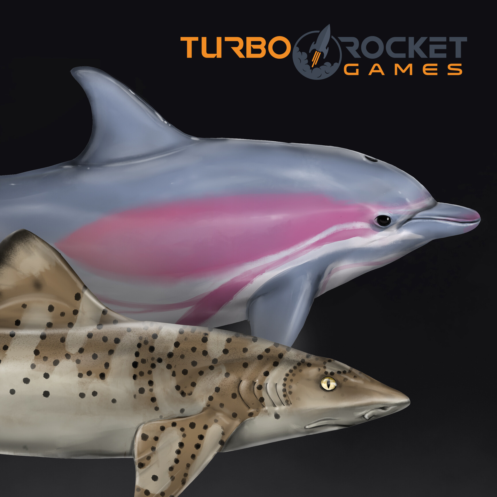 ArtStation - Dolphin and Shark skins - Common and Rare