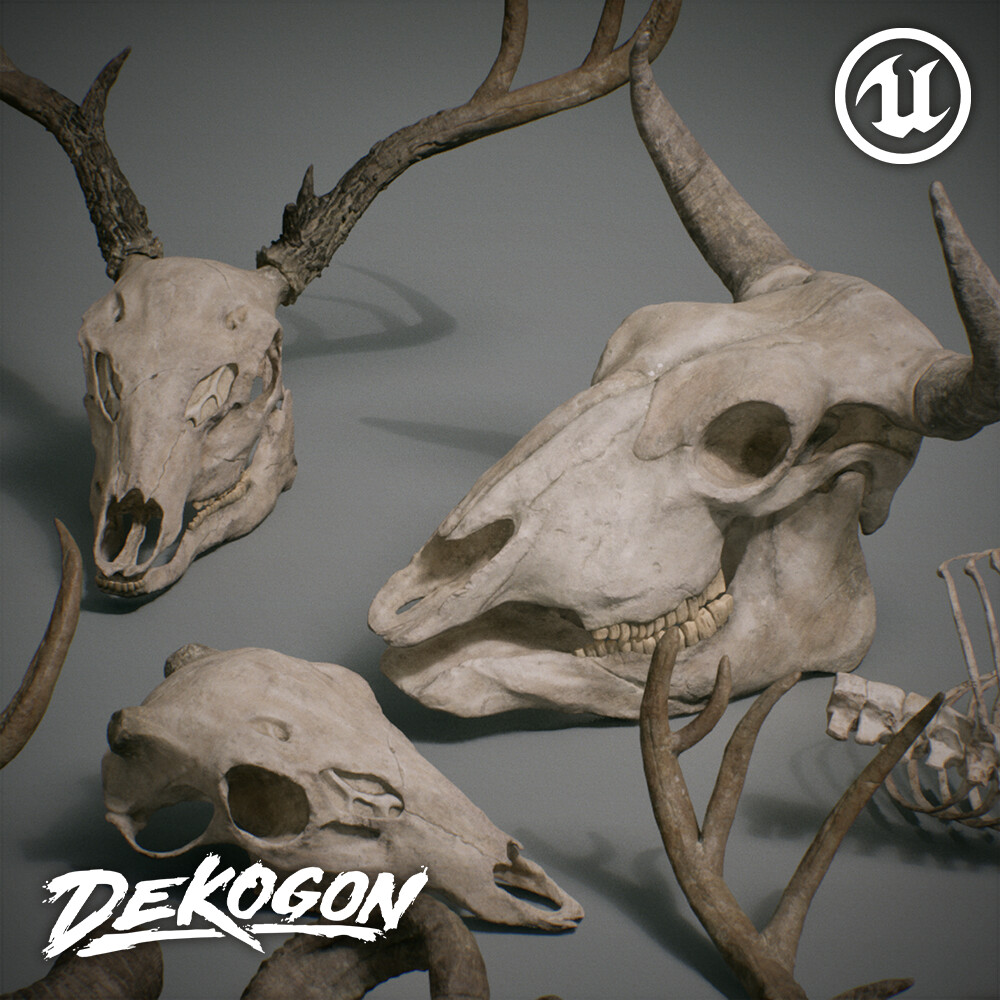 ArtStation - Bones (UE5)