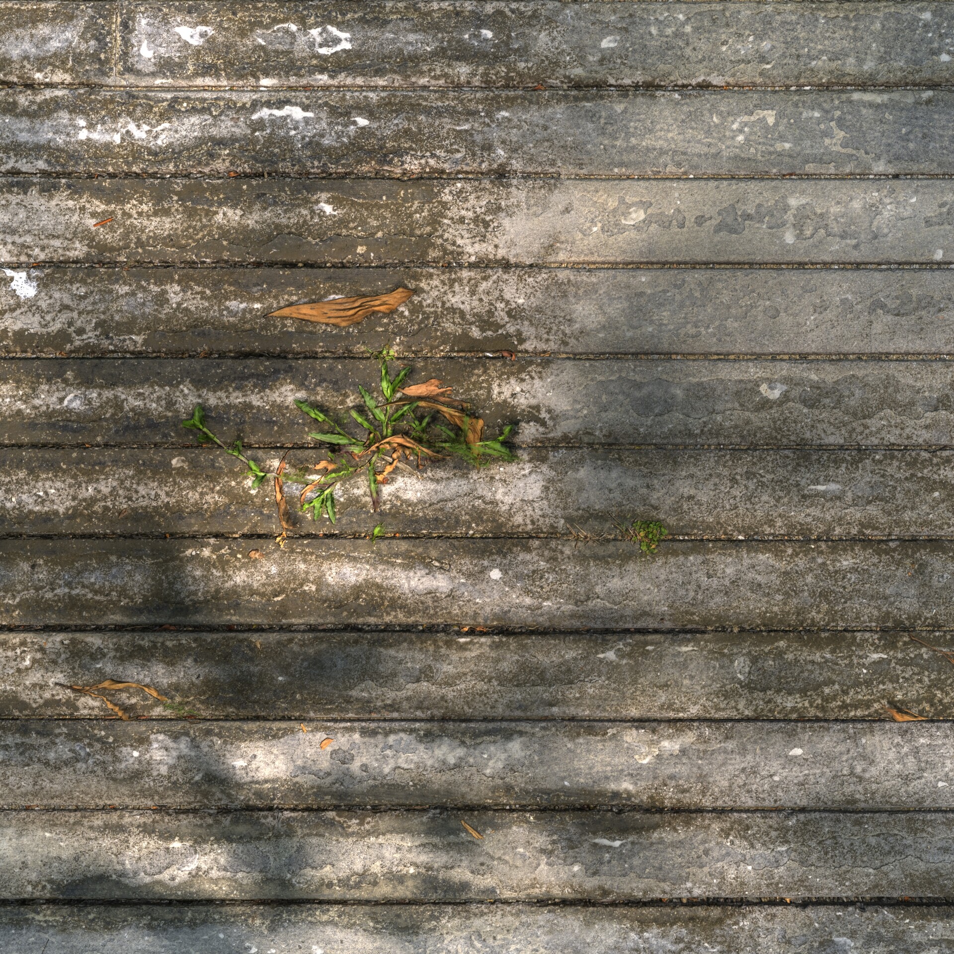 ArtStation - old plank