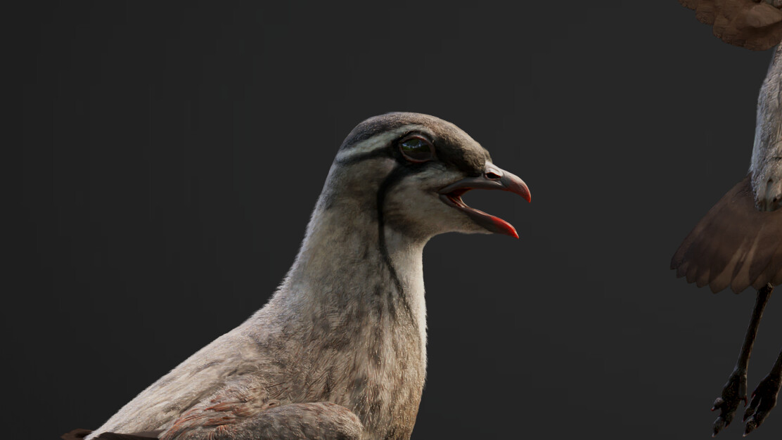 ArtStation - Paractiornis - Forgotten Bloodlines ( 3D Paleoart )