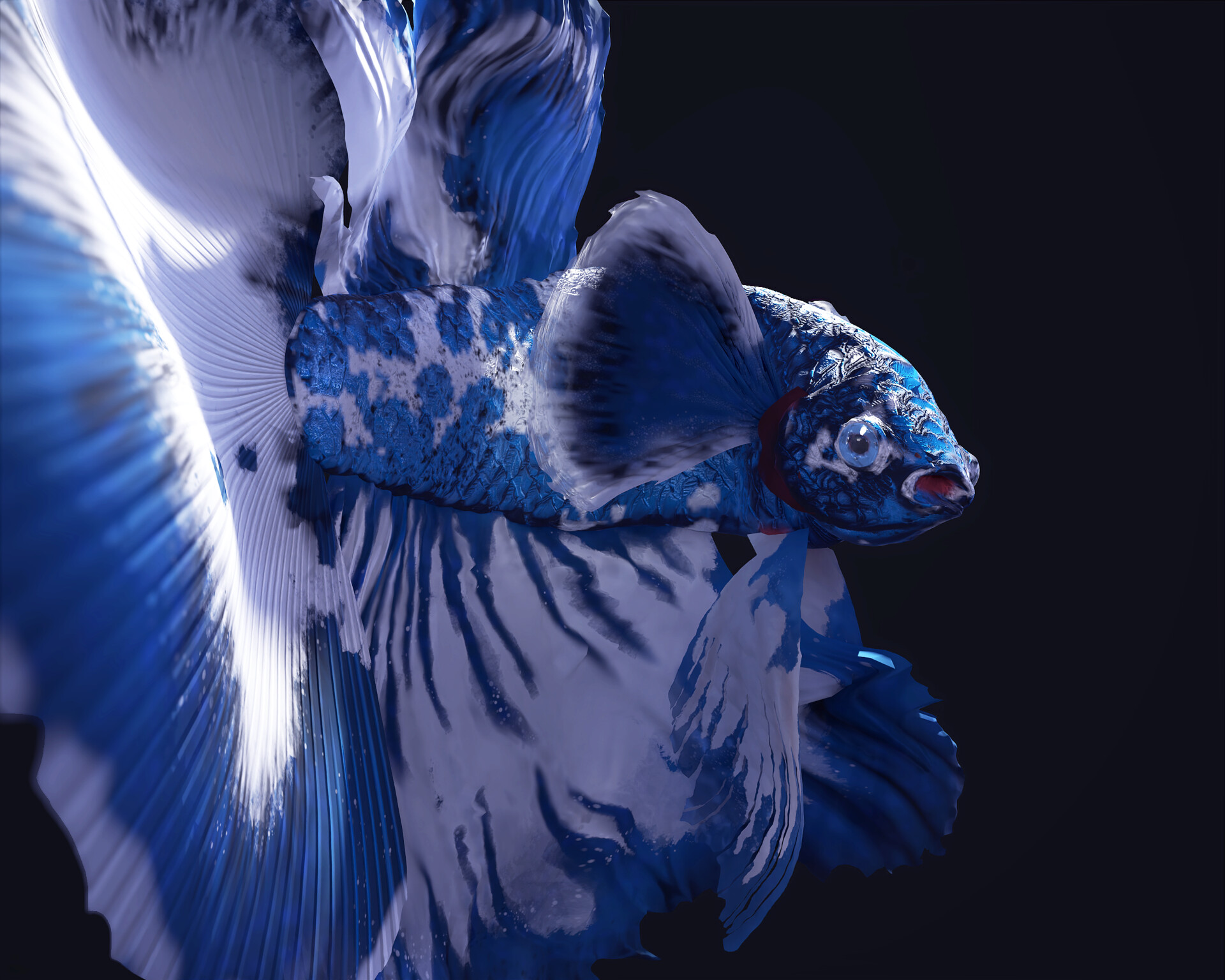 ArtStation - Betta Fish