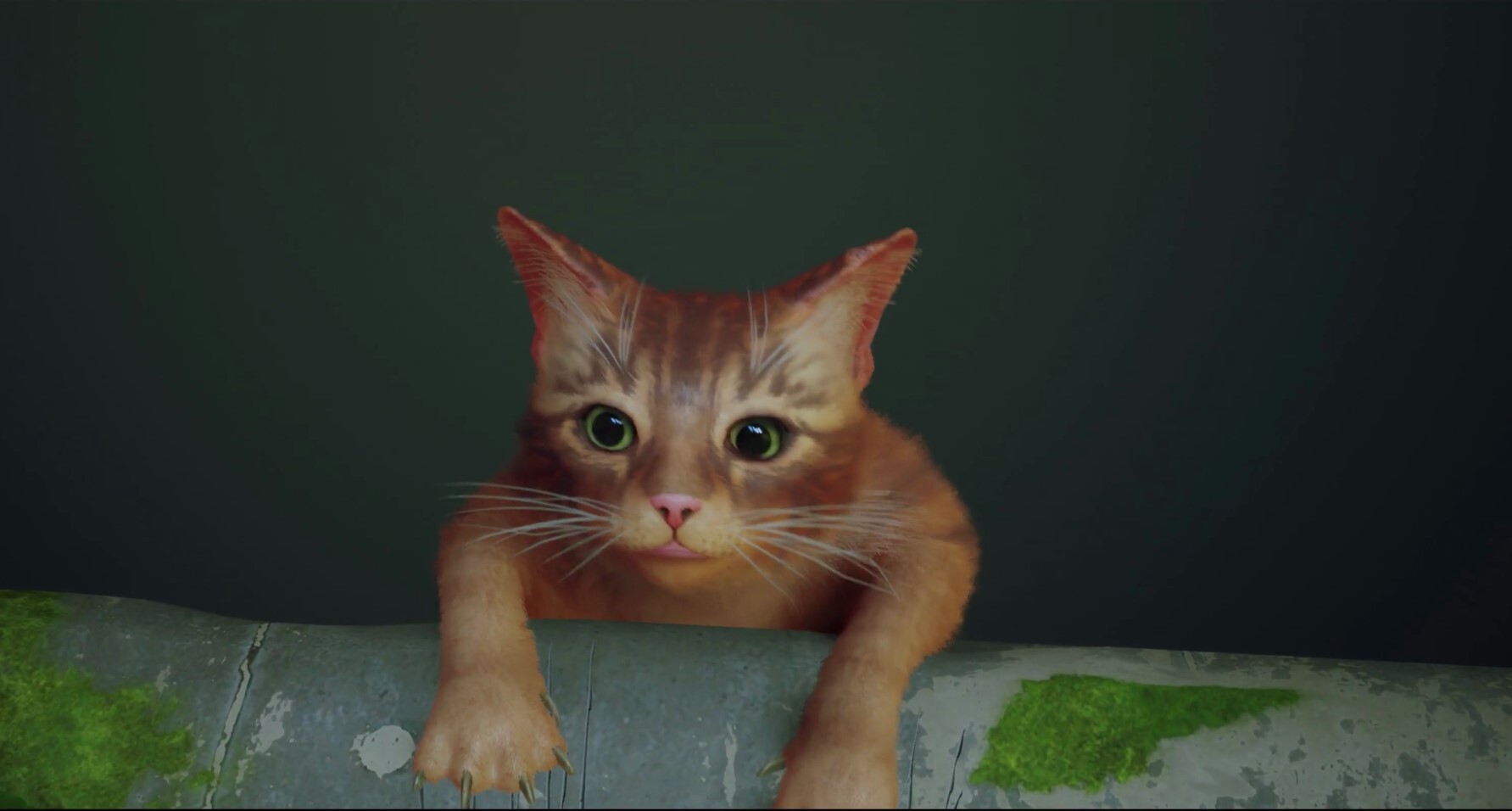 ArtStation - Stray Cat Animation