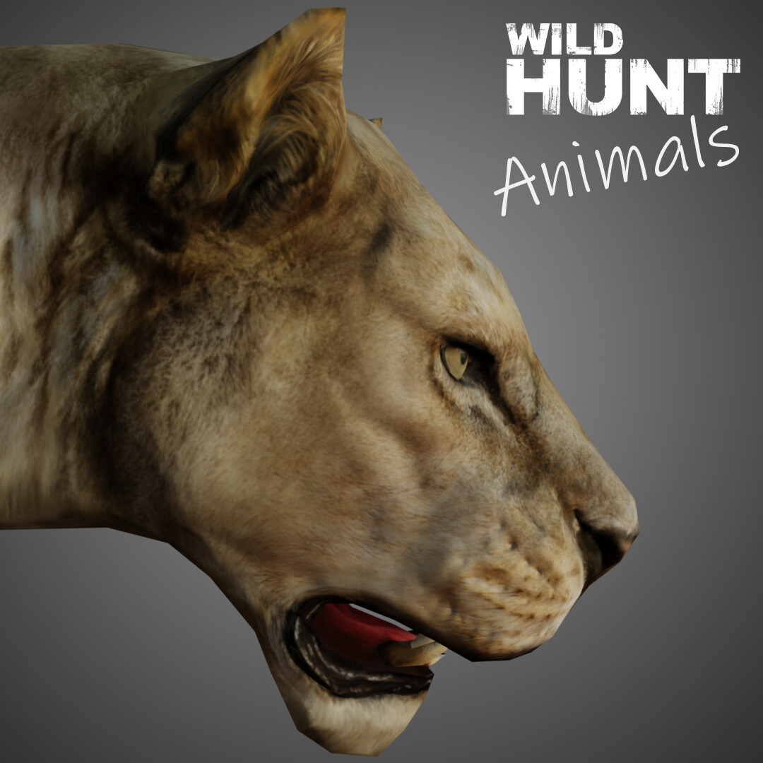 ArtStation - Wild Hunt - Animals