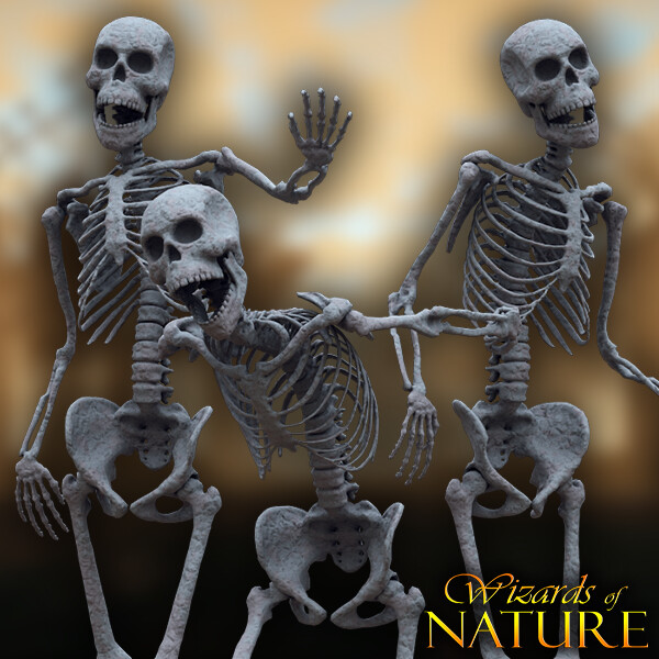 ArtStation - Wizards Of Nature (Rig and Animation - Skeleton)