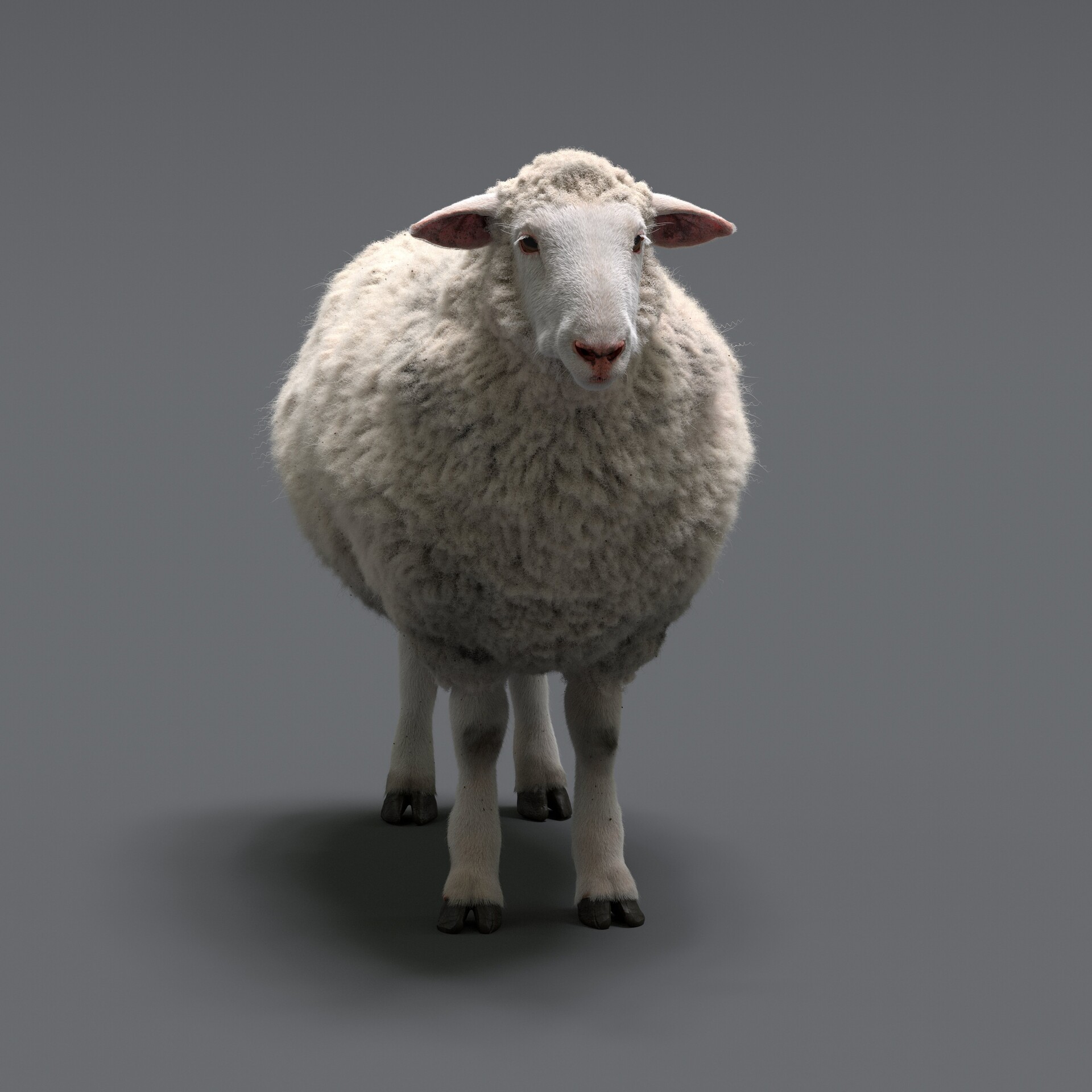 ArtStation - Furry Sheep