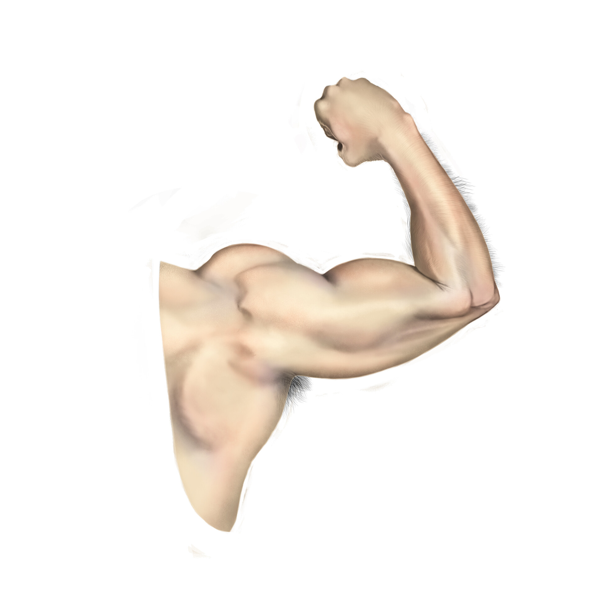 ArtStation - Right Arm : Tutorial