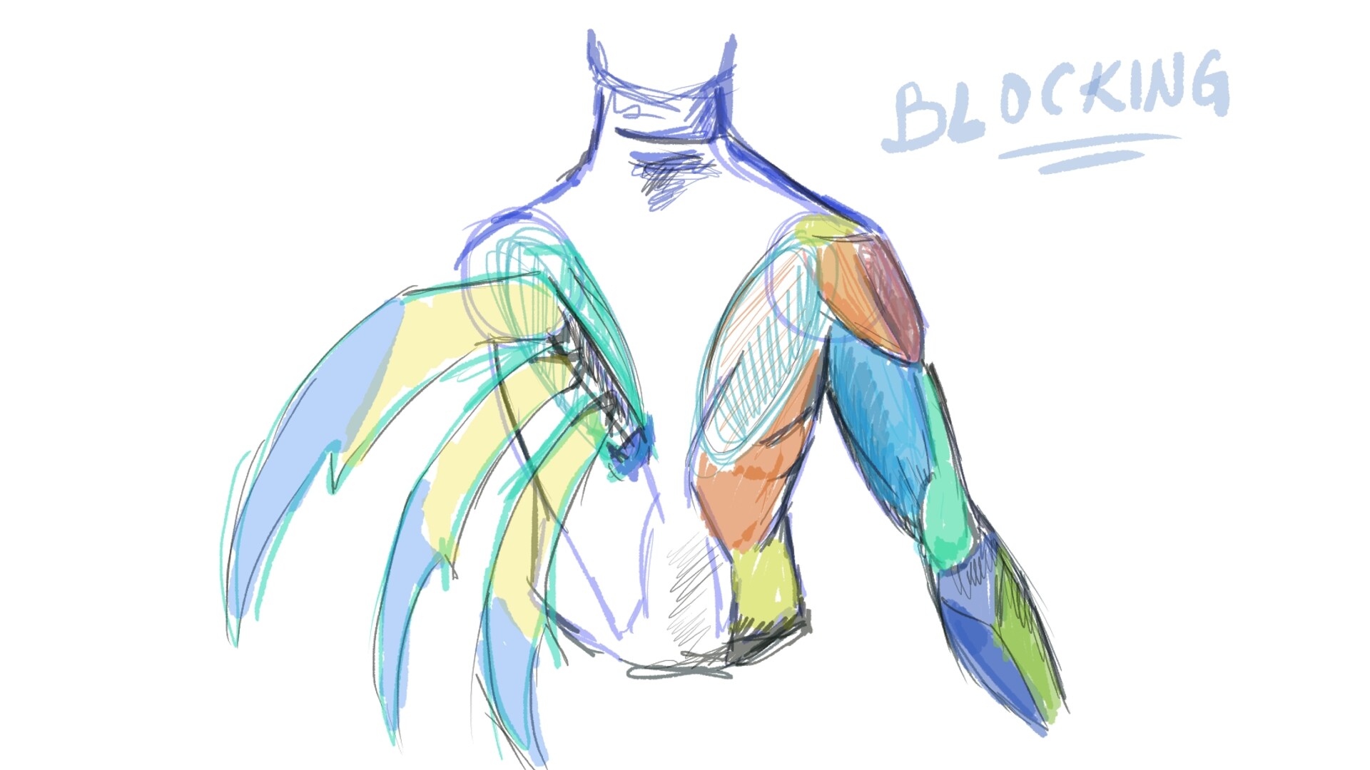 ArtStation - SHEET MODEL