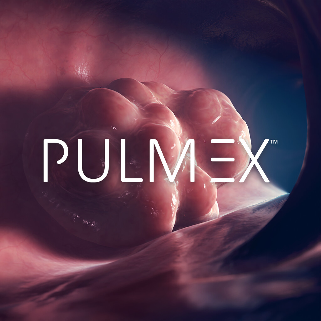 ArtStation - Pulm Ex UI