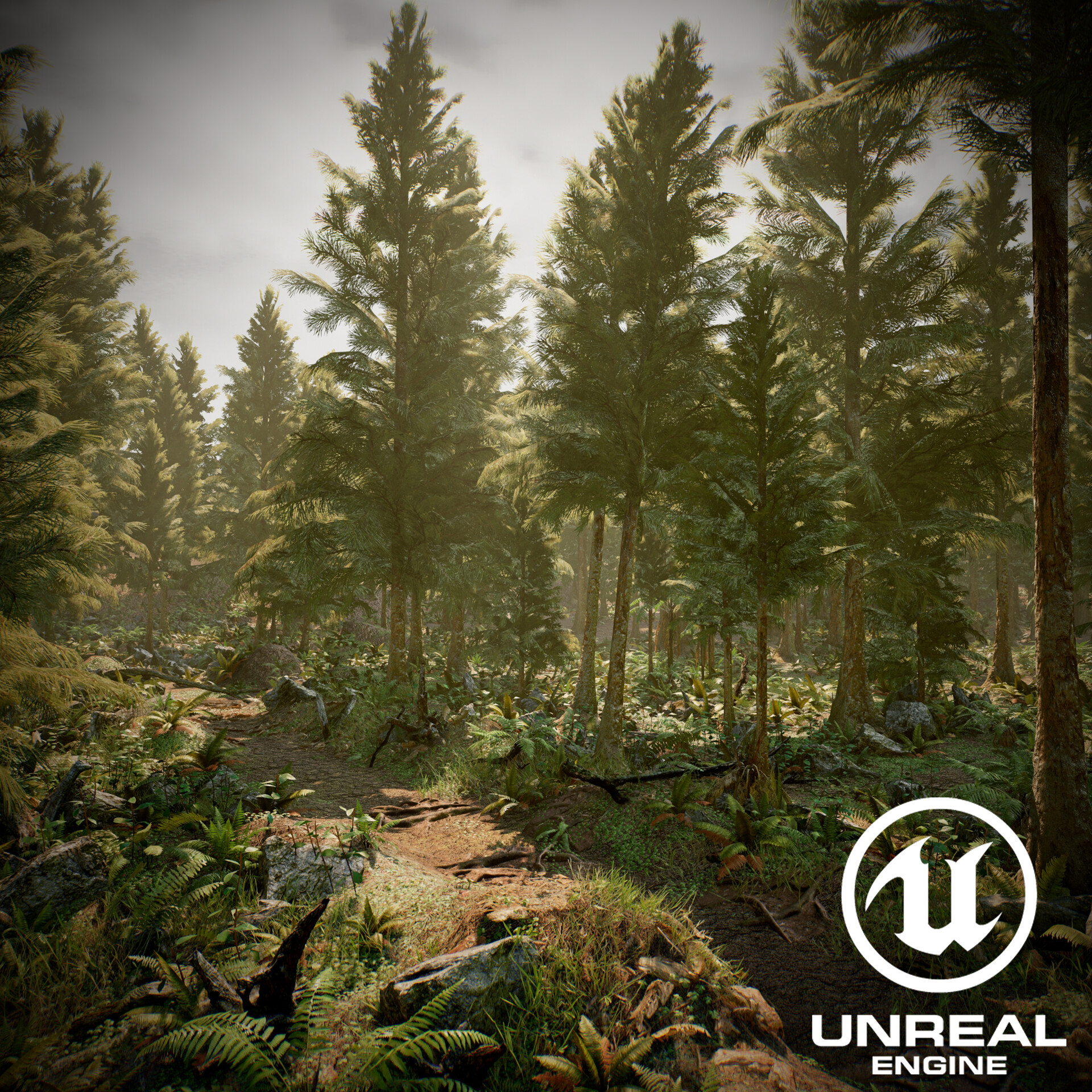 ArtStation - Fir Tree Forest