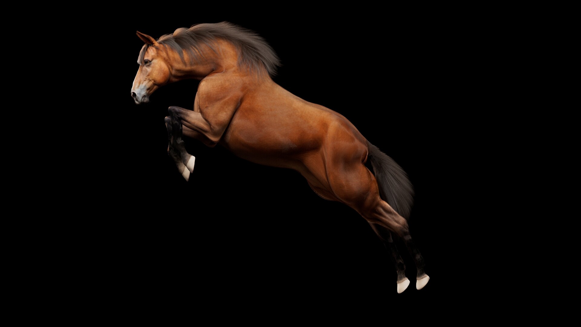 ArtStation - 3d Horse For 3d Animation