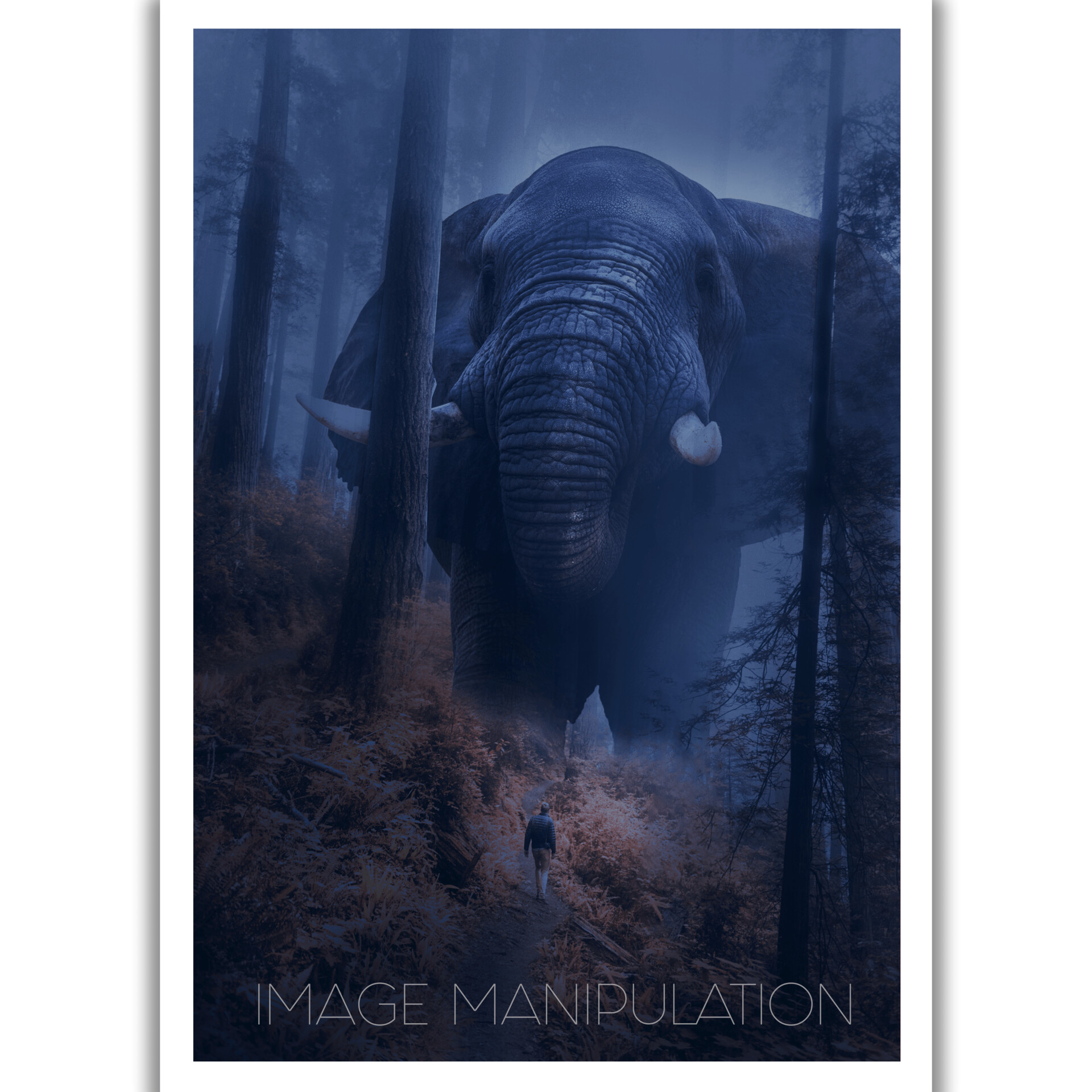 ArtStation - Image manipulation