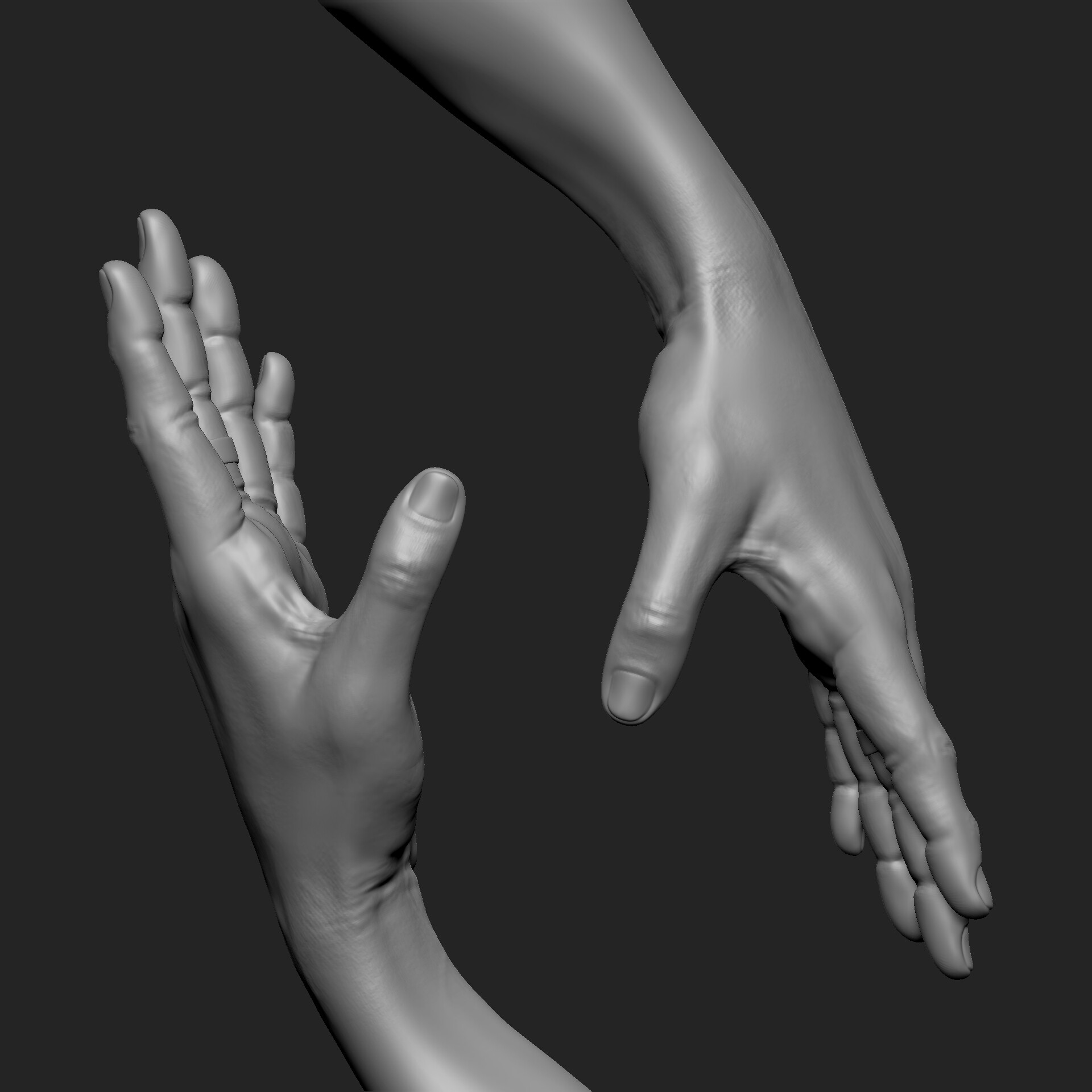 ArtStation - Hand Anatomy Study