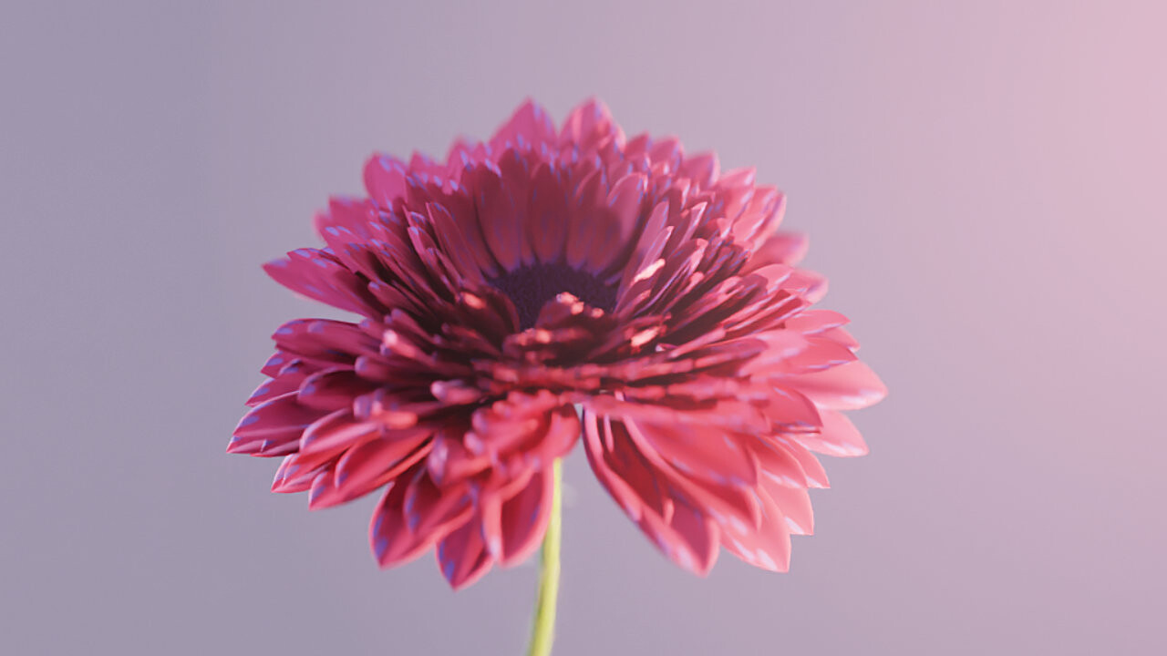 ArtStation - Blender Flower Generator