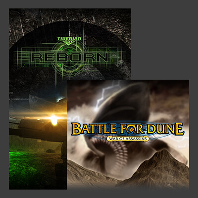 ArtStation - Video Game Covers (BFD: WOA, TSR)