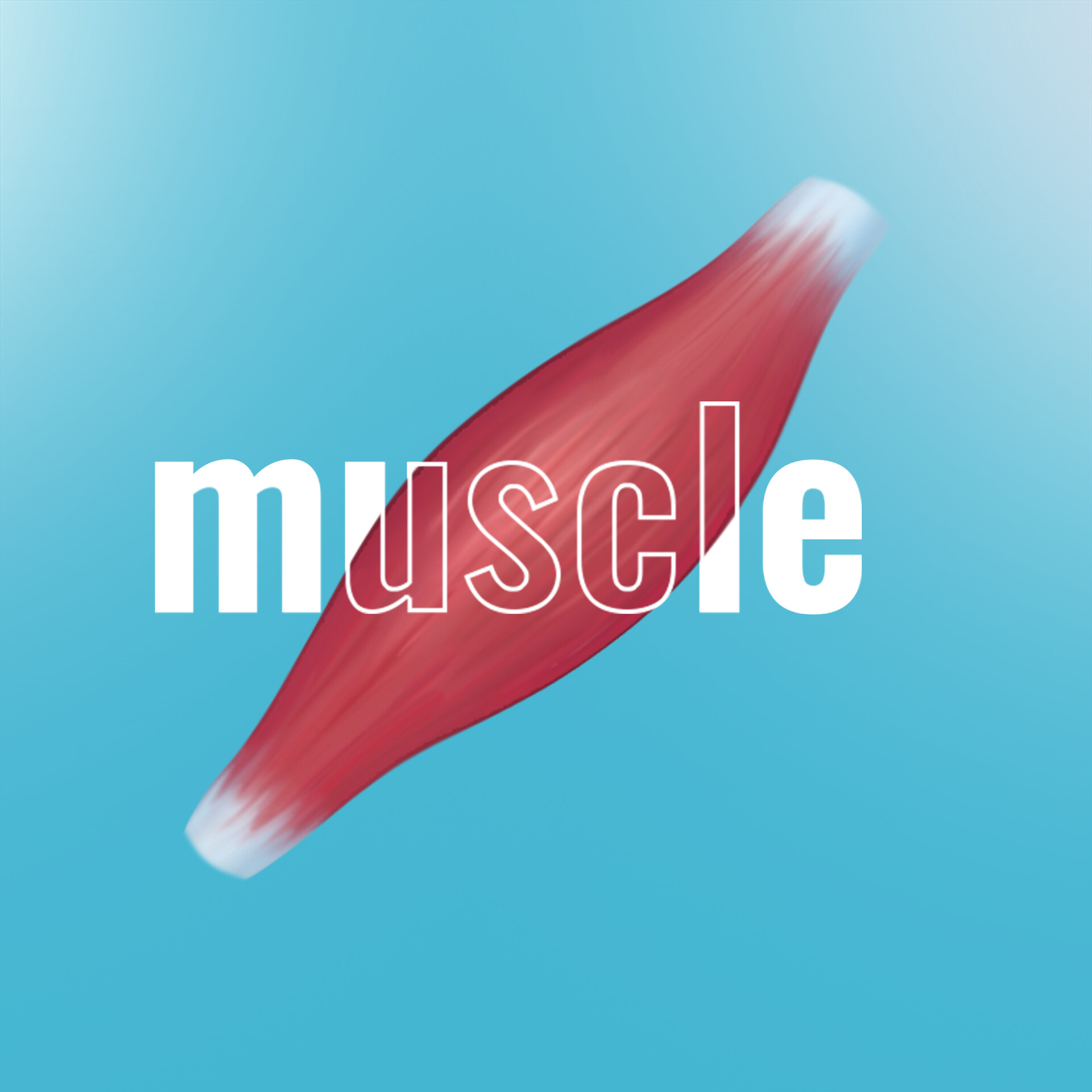 ArtStation - 1st muscle