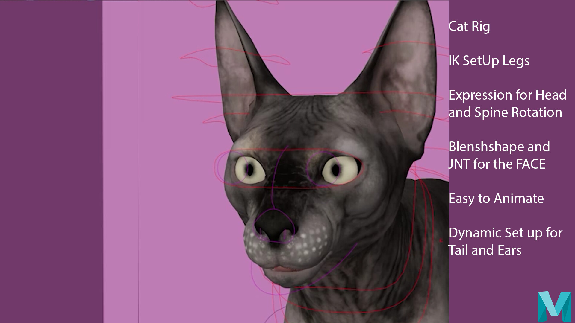 ArtStation - Cat Rig with Dynamics