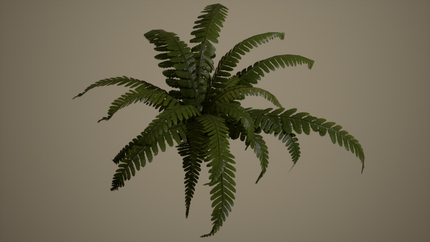 ArtStation - Foliage Practice
