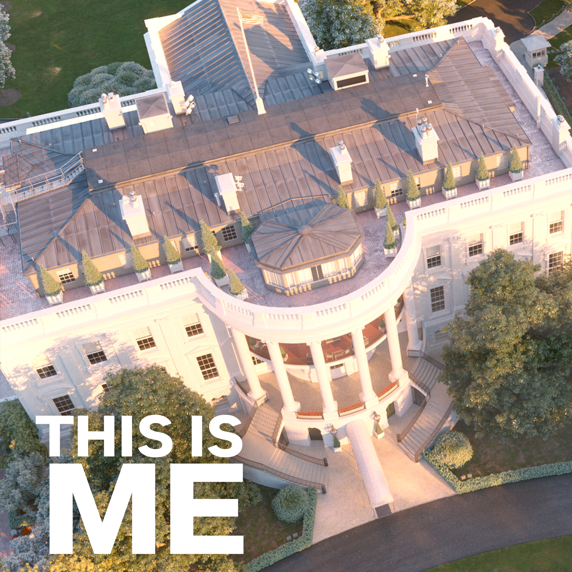 ArtStation - This is me - Presidential collection