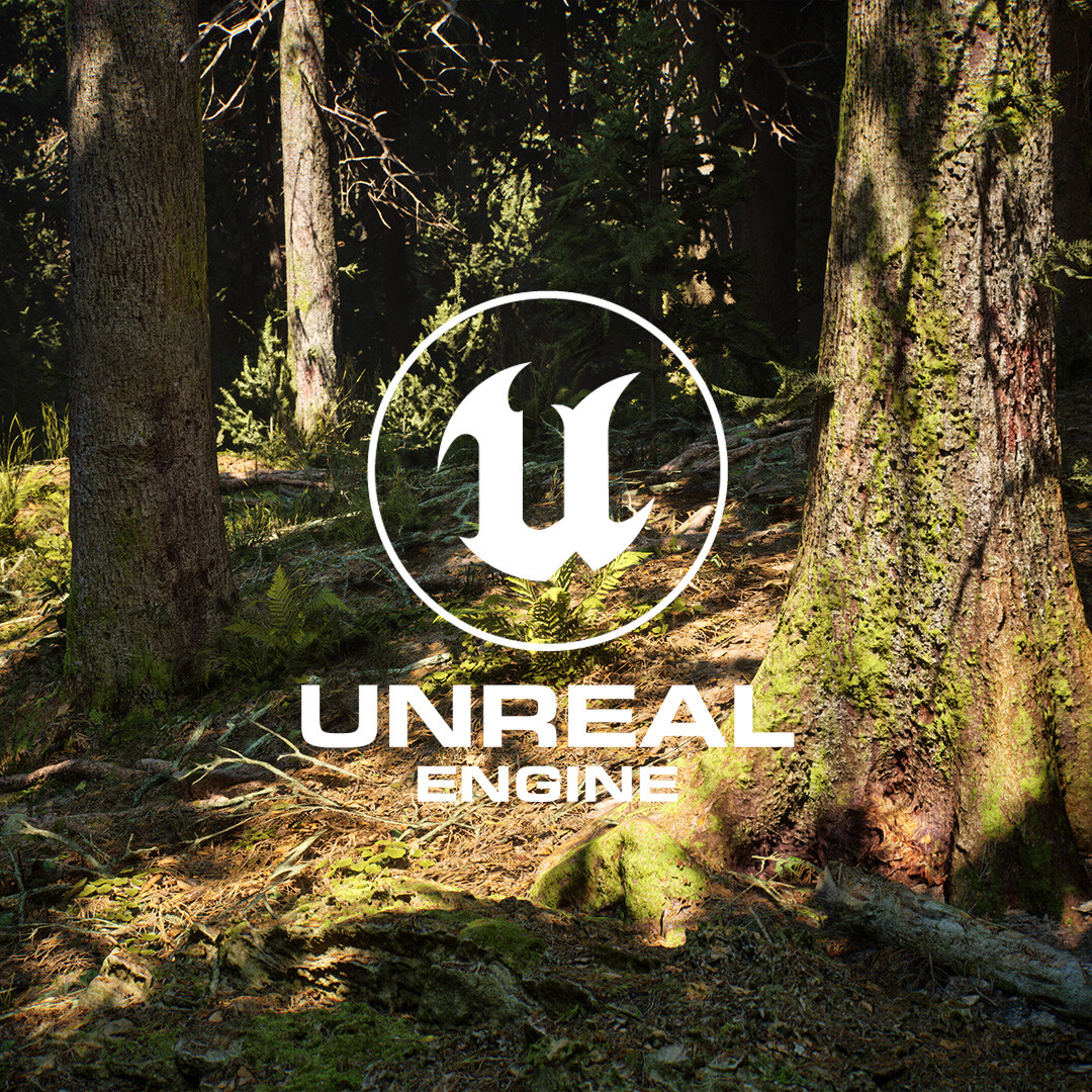 MAWI United - UE5 Conifer Forest V4.2.0 Runtime Demo