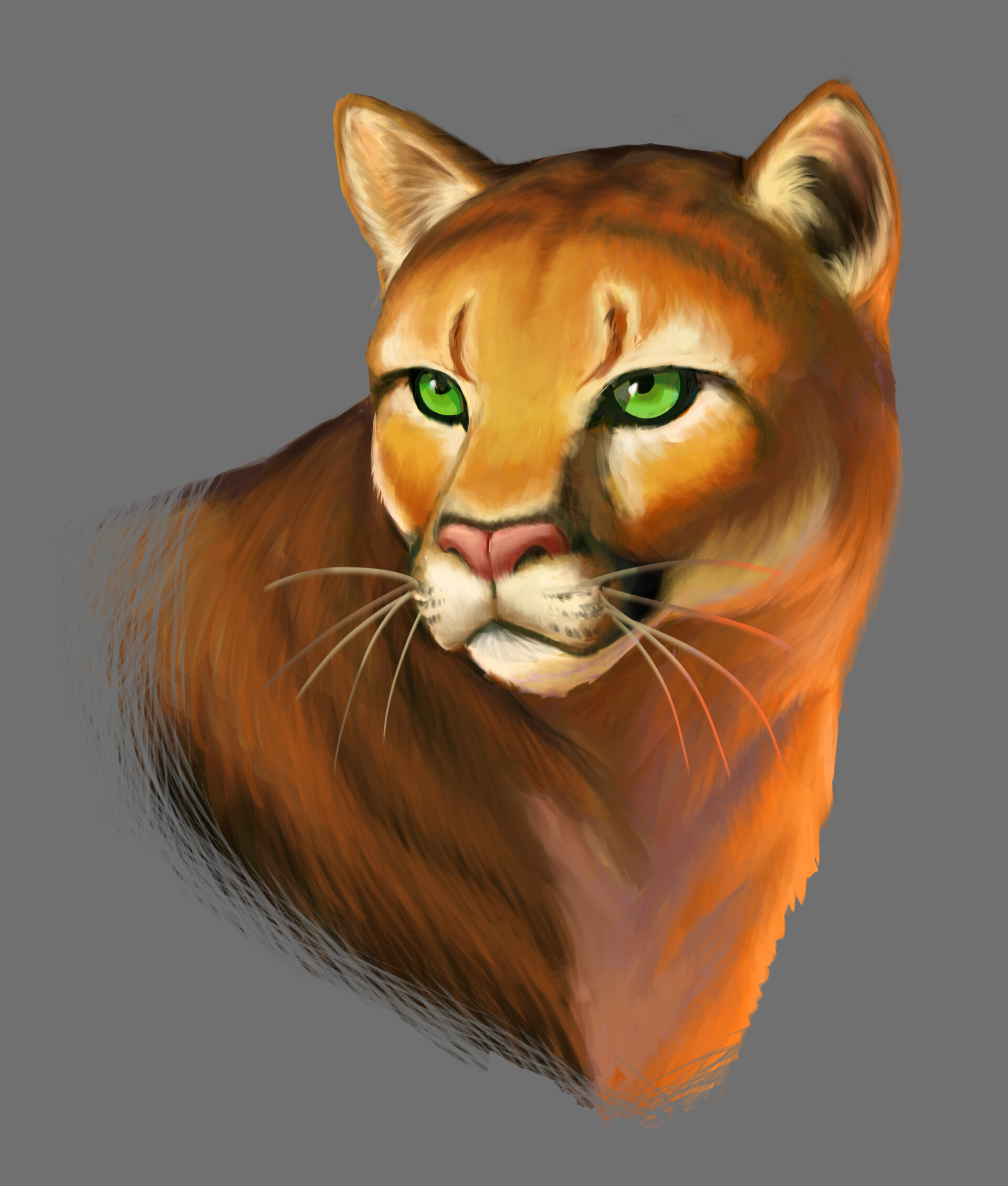 ArtStation - The Cougar - Buffalo Toro Symbol Design
