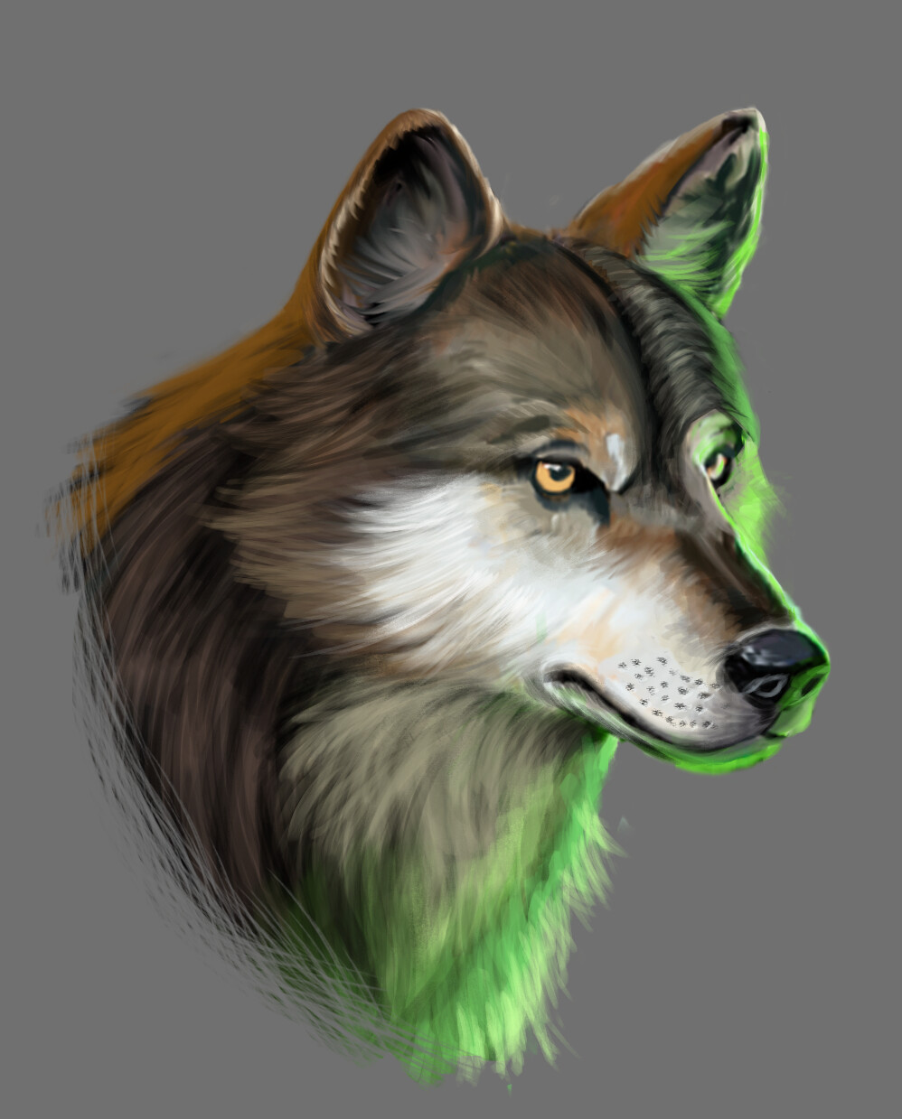 ArtStation - The Wolf - Buffalo Toro Symbol Rendering