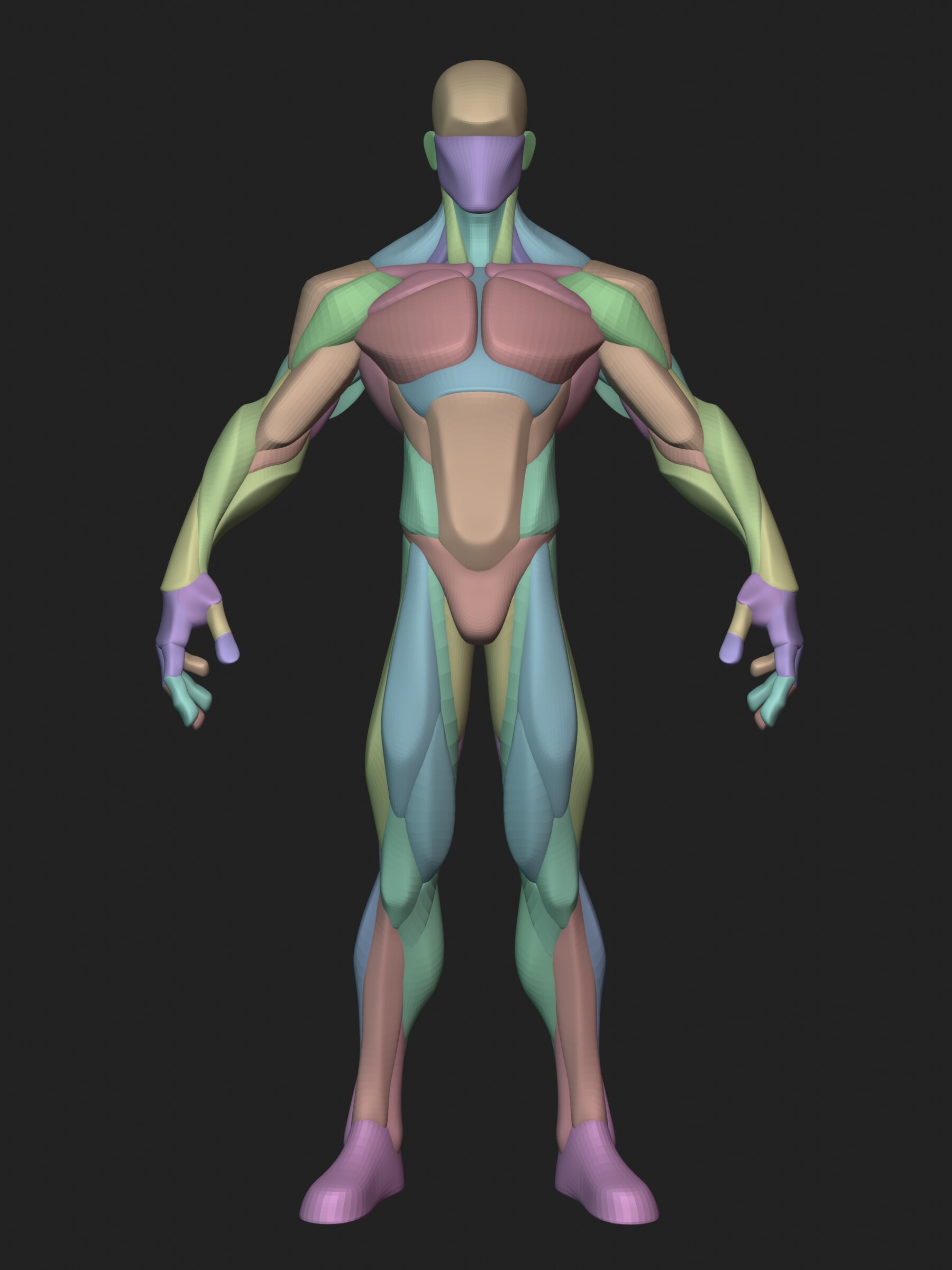 ArtStation - Stylized Average Anatomy Blockout