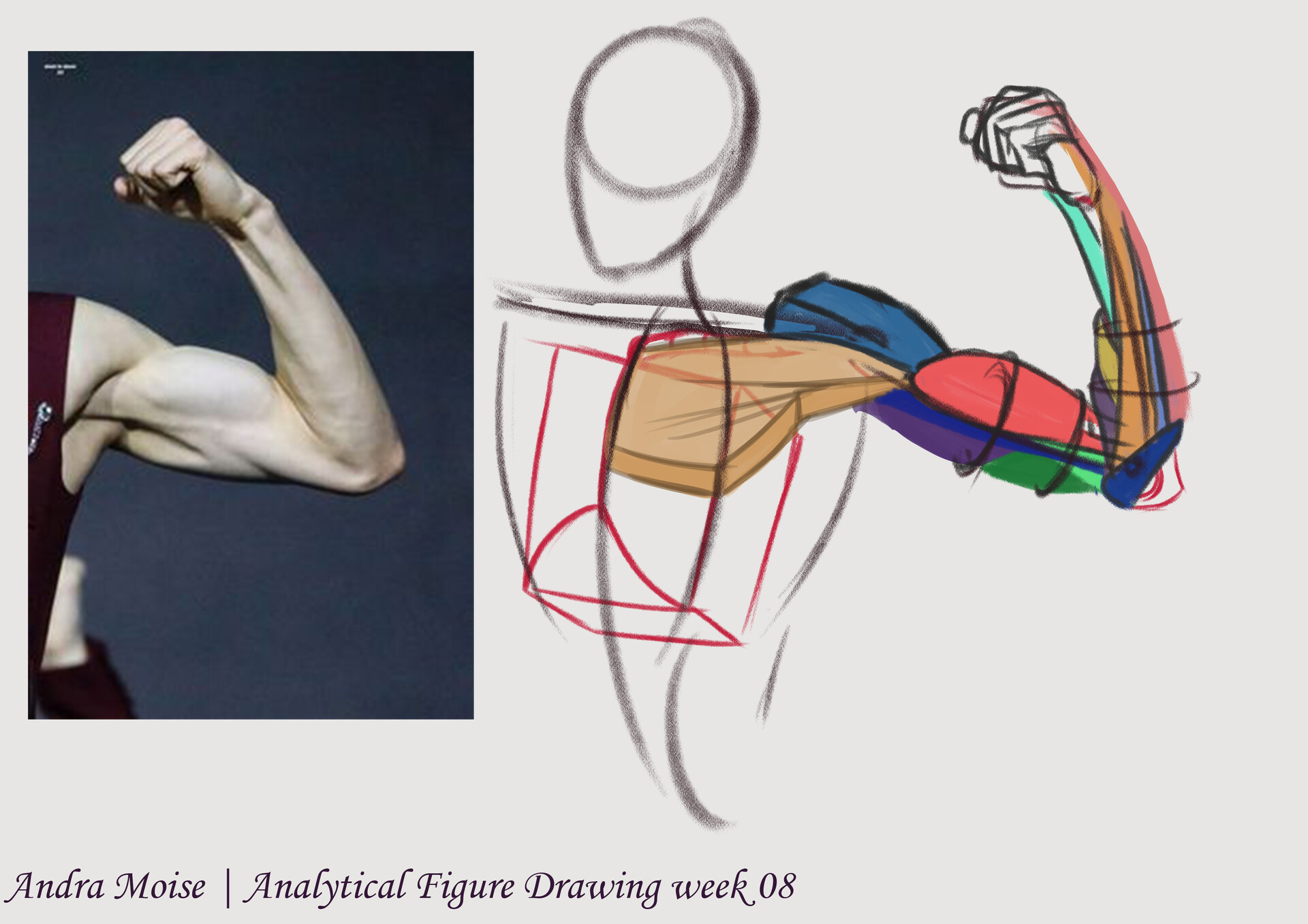 ArtStation - Arm mucles