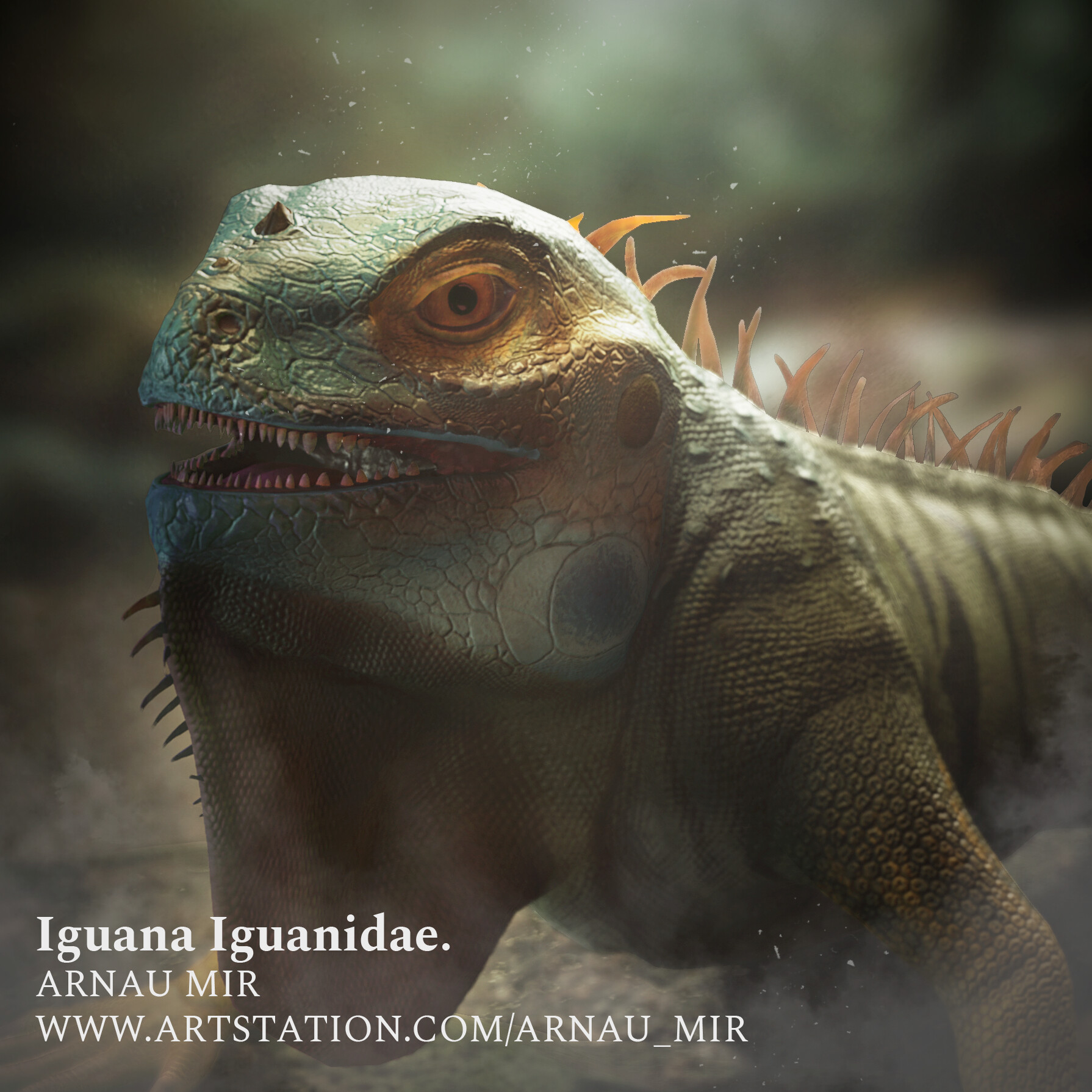 ArtStation - Iguana Iguanidae.