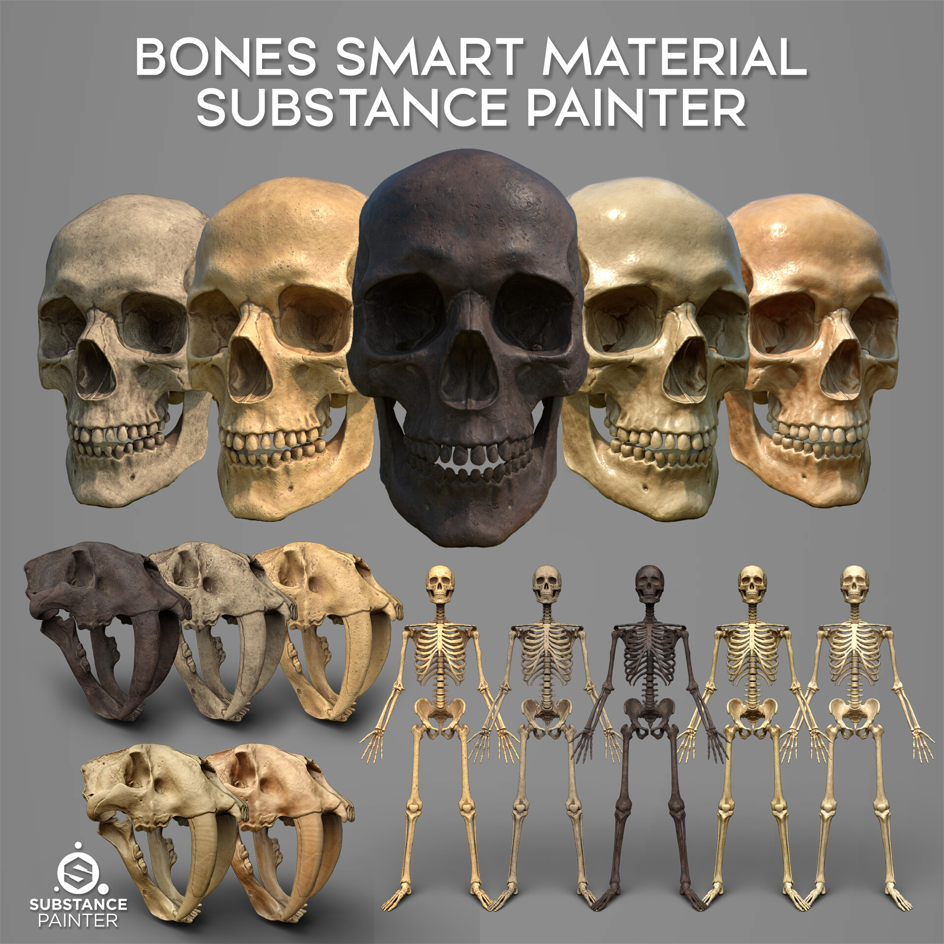 ArtStation - Bones Smart Material - Substance Painter