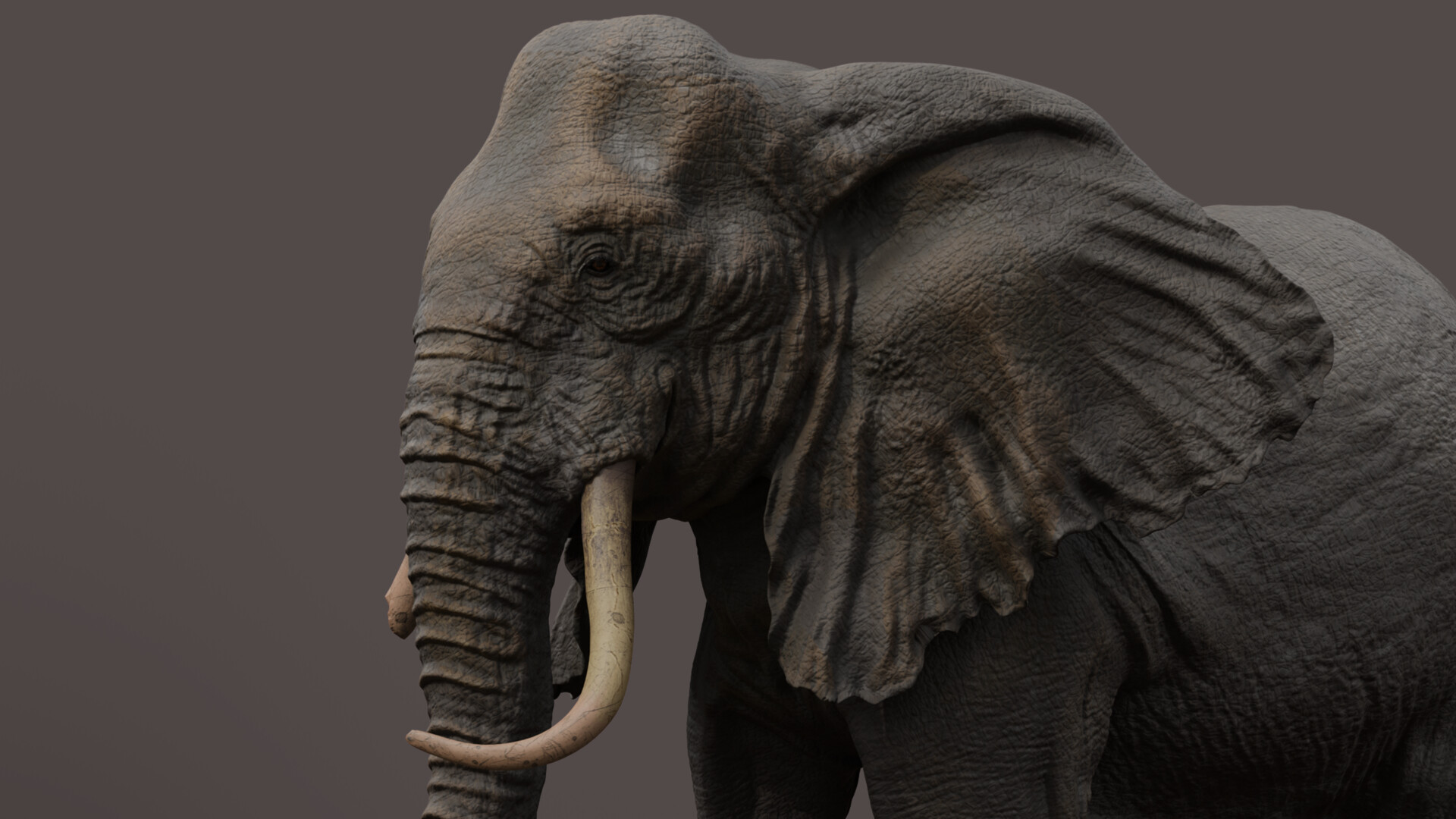 ArtStation - Elephant