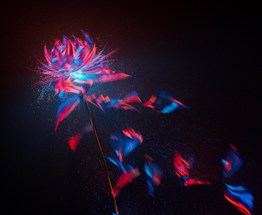 ArtStation - Infinity Flower