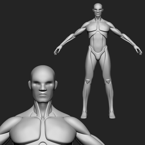 ArtStation - Male base mesh
