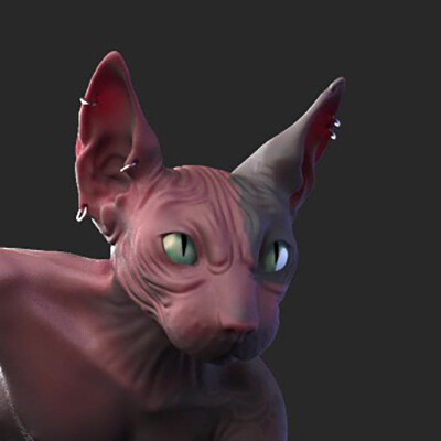 ArtStation - Anthropomorphic Sphynx cat