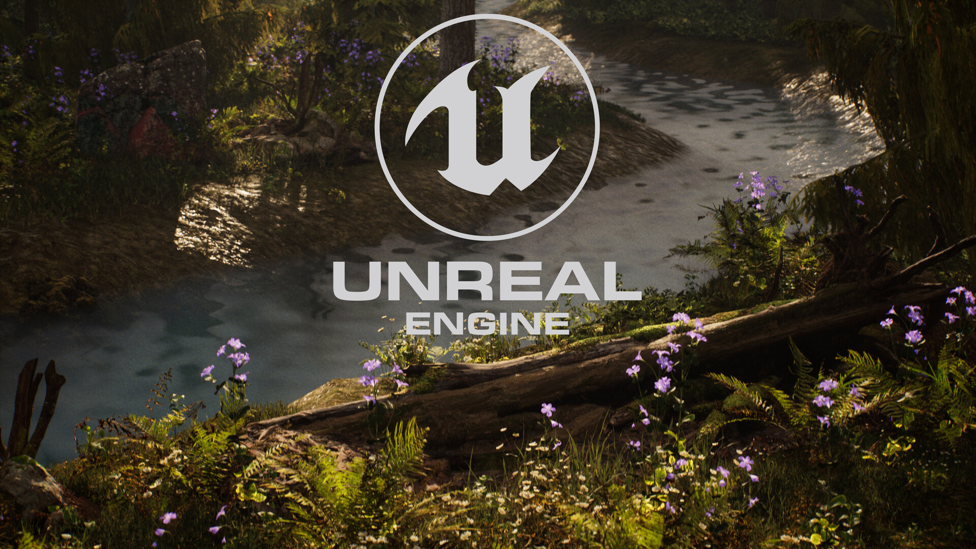 ArtStation - Unreal Engine 5 Forest Scene