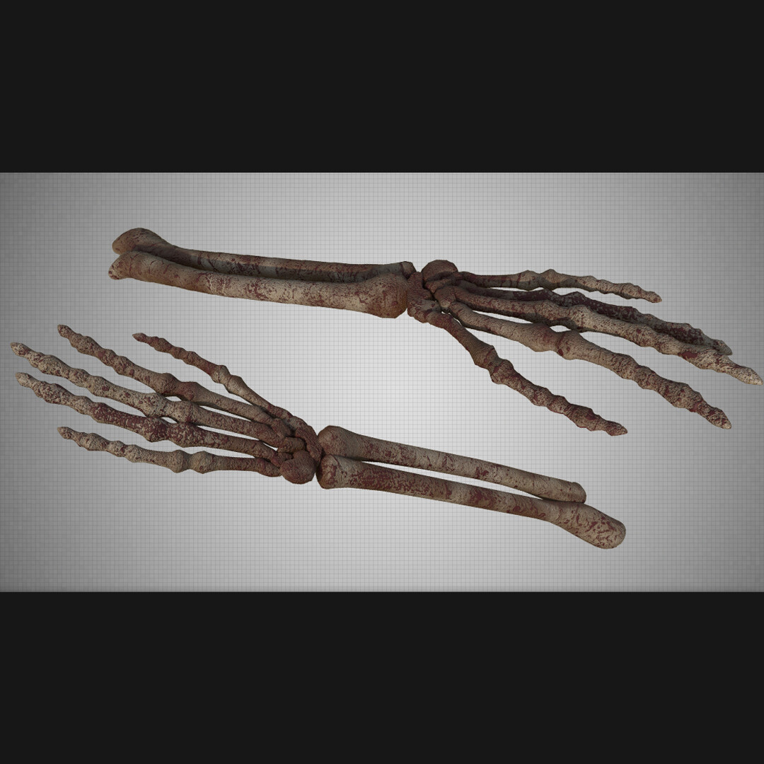 ArtStation - Skeleton Hand
