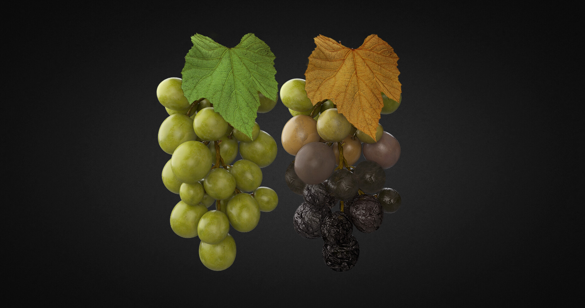 ArtStation - 3D Grapes & Rotten Grapes