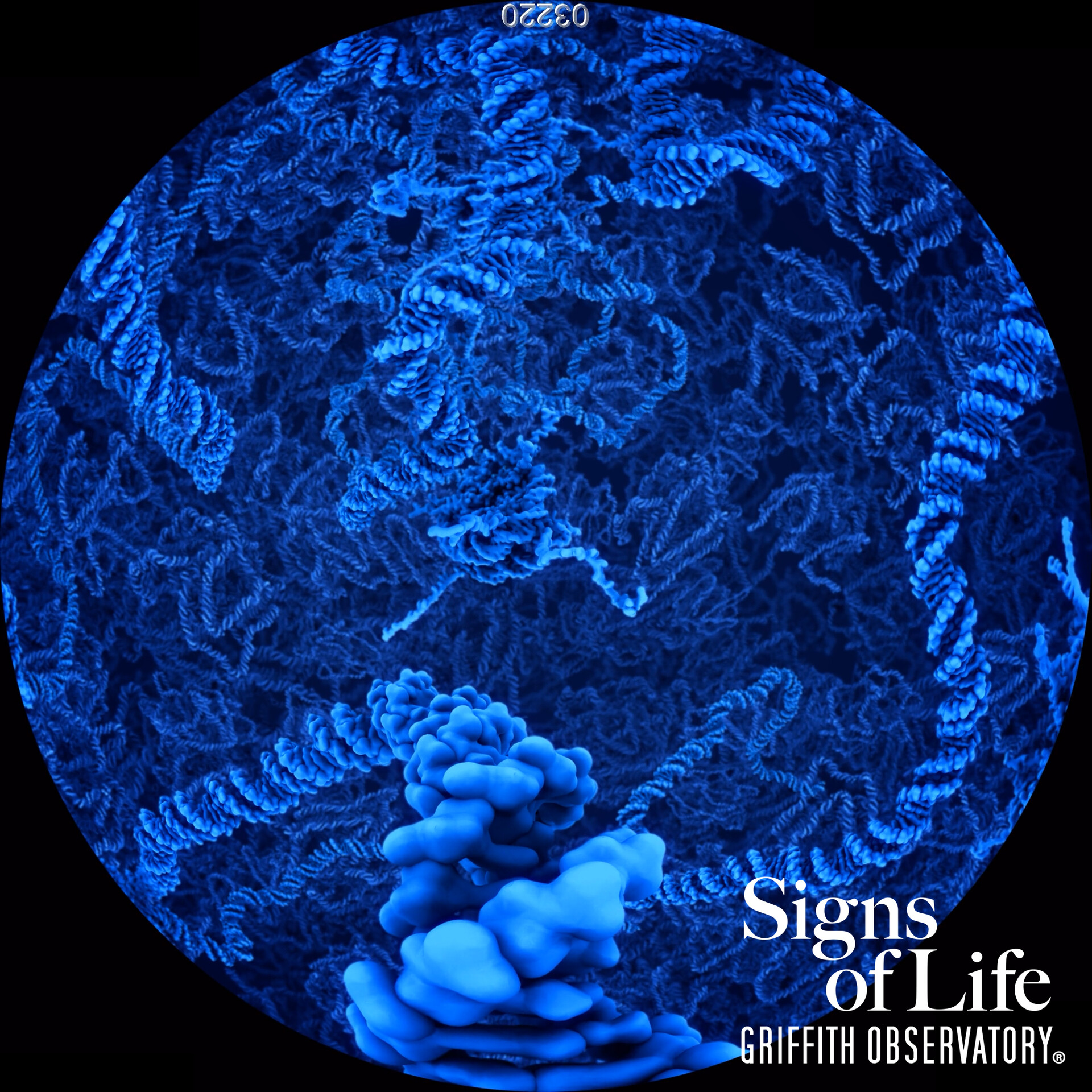 Eric Keller - Cellular sequence for "Signs of Life" Planetarium Show